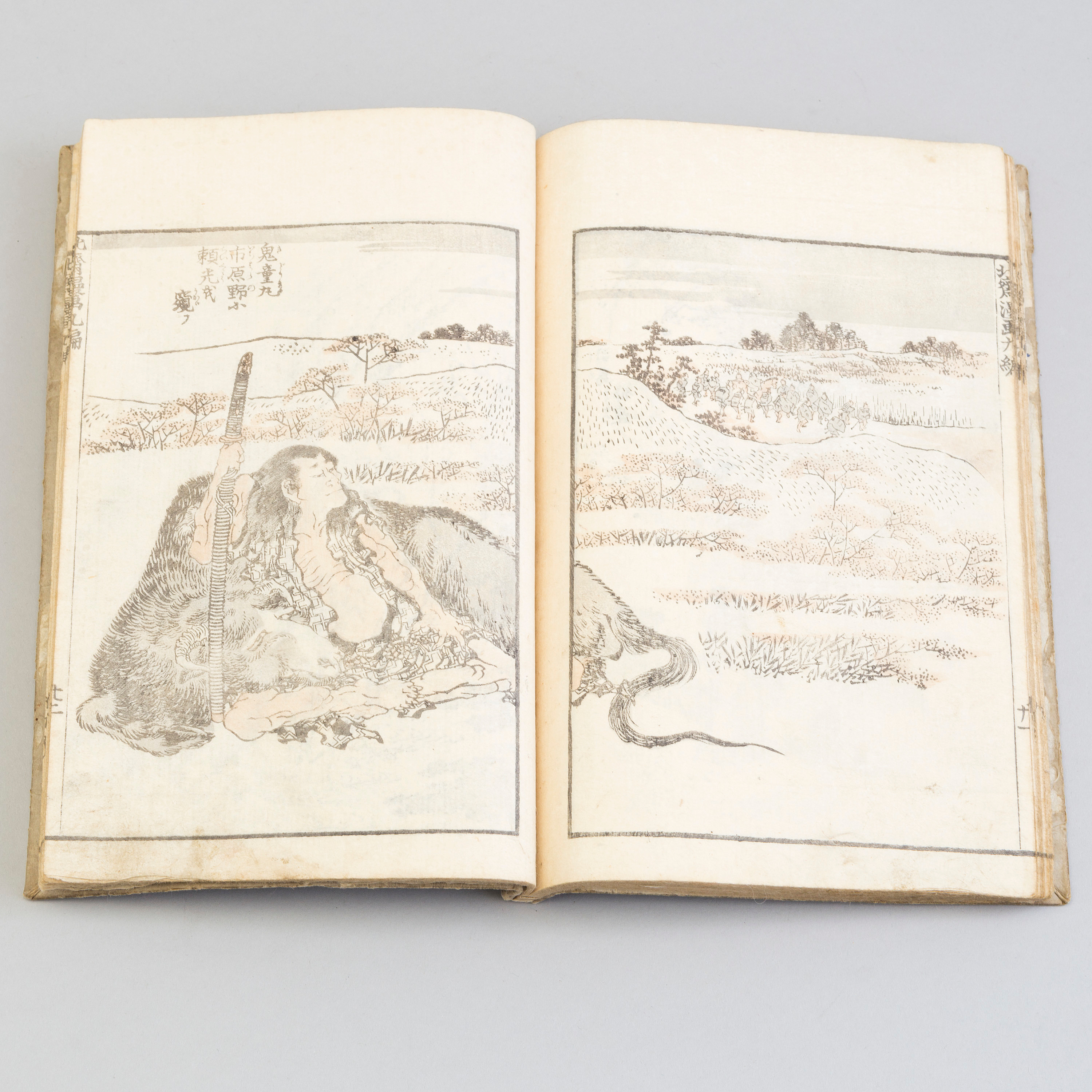 Four Japanese woodblock printed books, 19th century. - Bukowskis