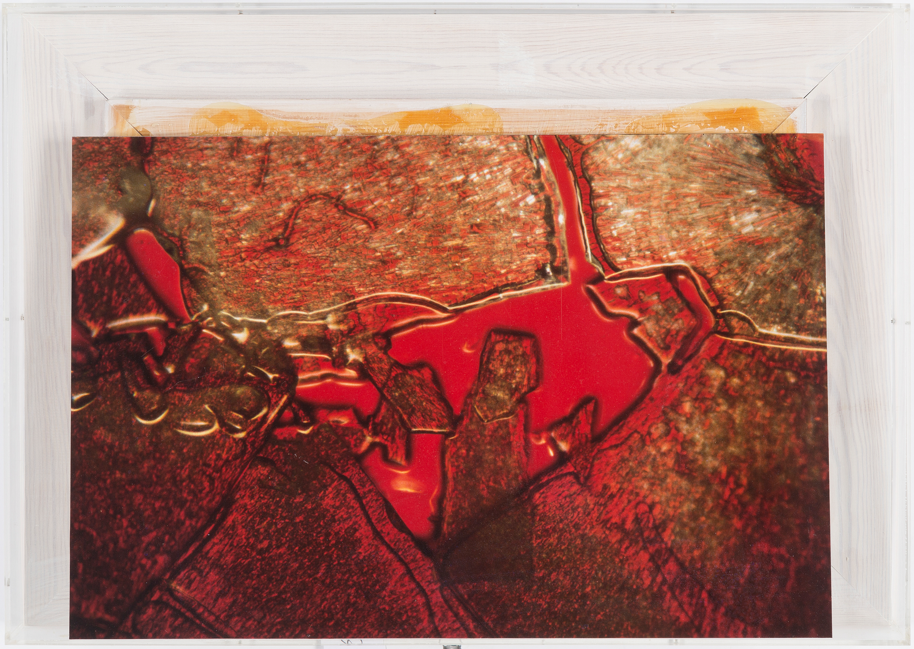 ERIC H OLSON, cibachrome, mounted in a plexiglas frame, signed and ...