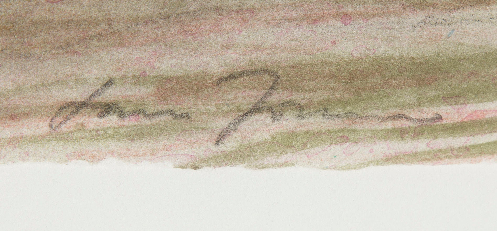 LARS JONSSON, lithograph in colours, signed and numbered 15/366 ...