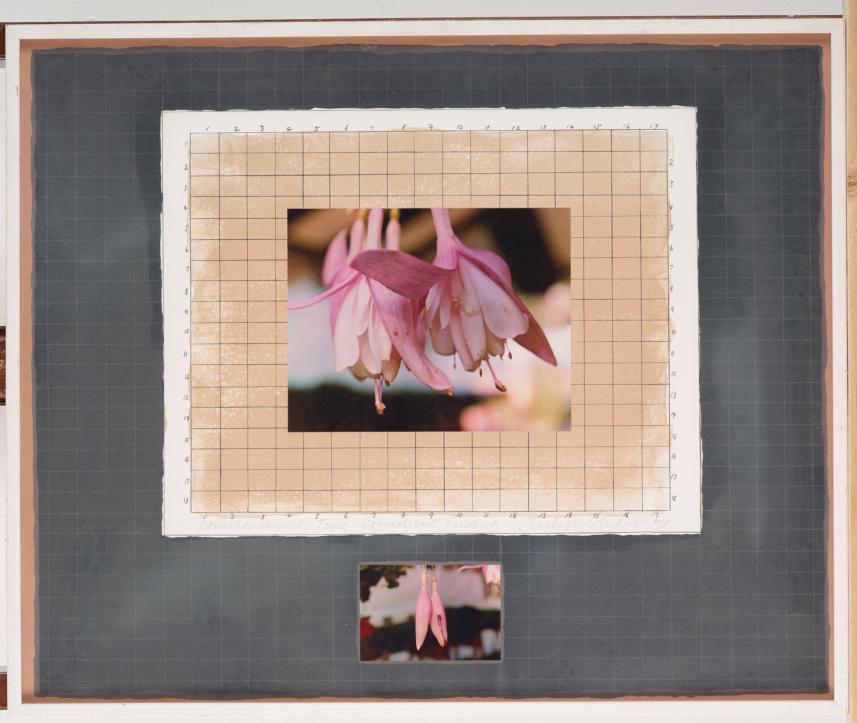 Michelle Stuart, MICHELLE STUART, Lithograph and dye transfer ...