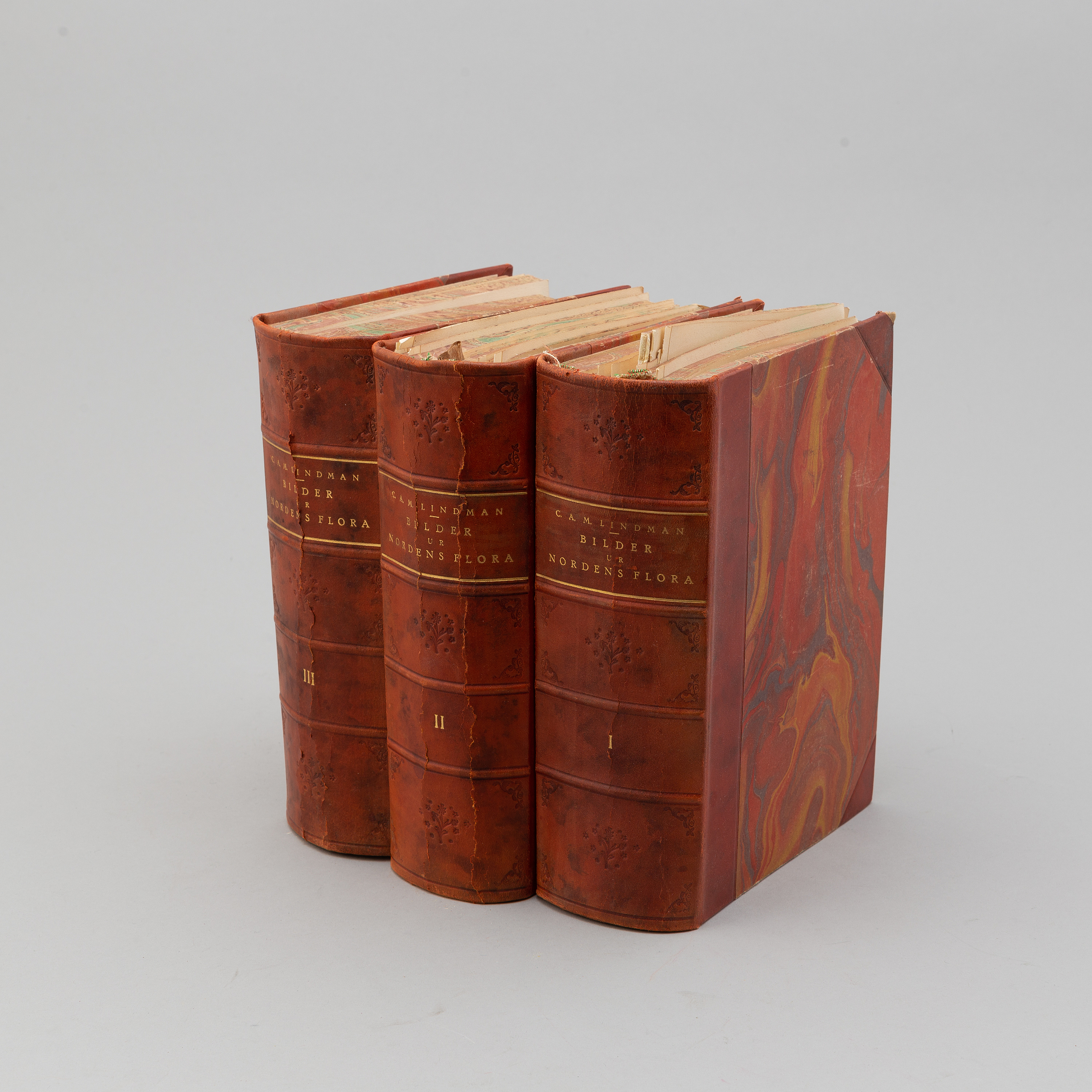 BÄCKER, C.A.M. Lindman, Bilder ur Nordens flora, del 1-3, andra och ...