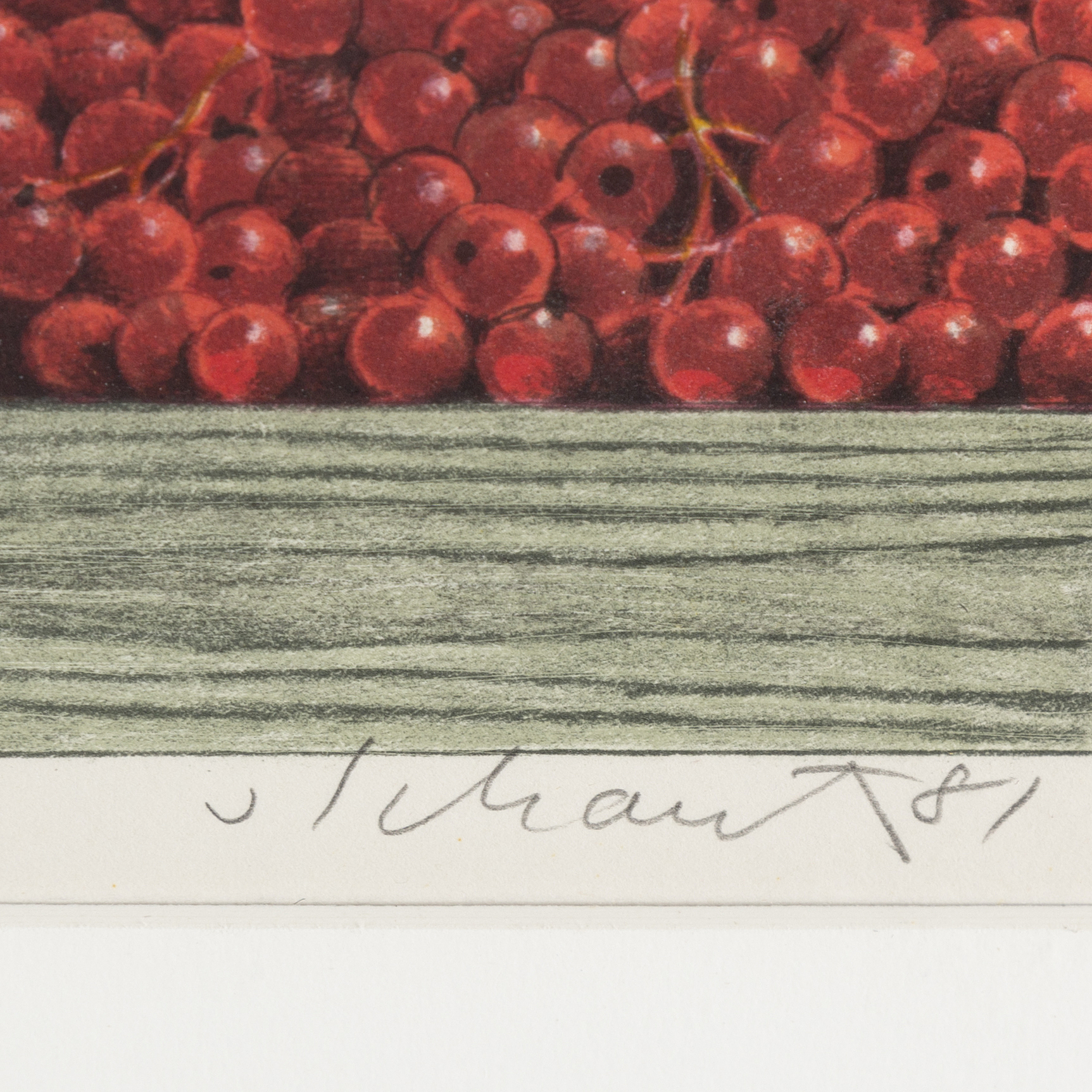 PHILIP VON SCHANTZ, lithograph in colours, signed and dated 81 ...