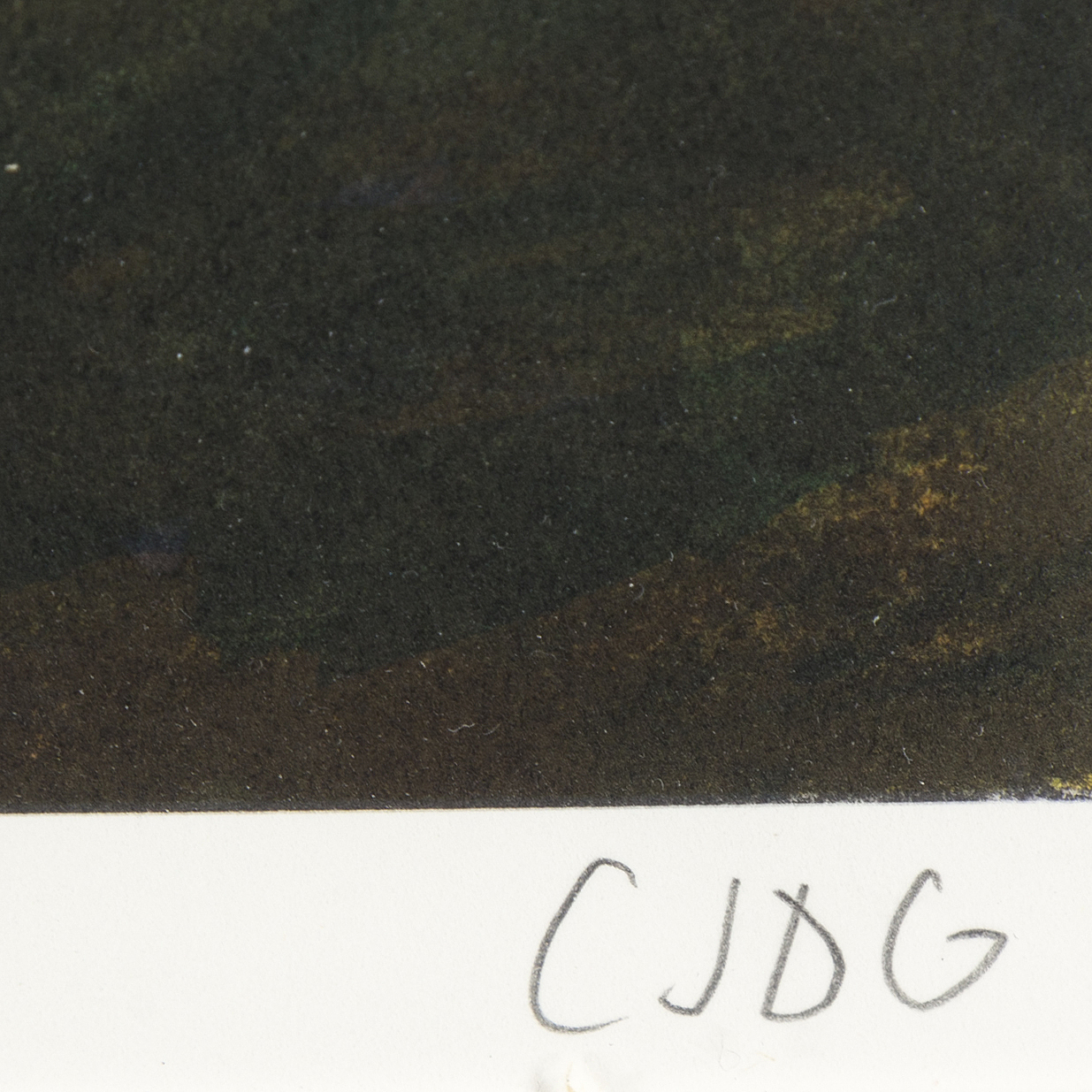 A Carl Johan De Geer color litograph, monogramsigned and numbered 231/ ...