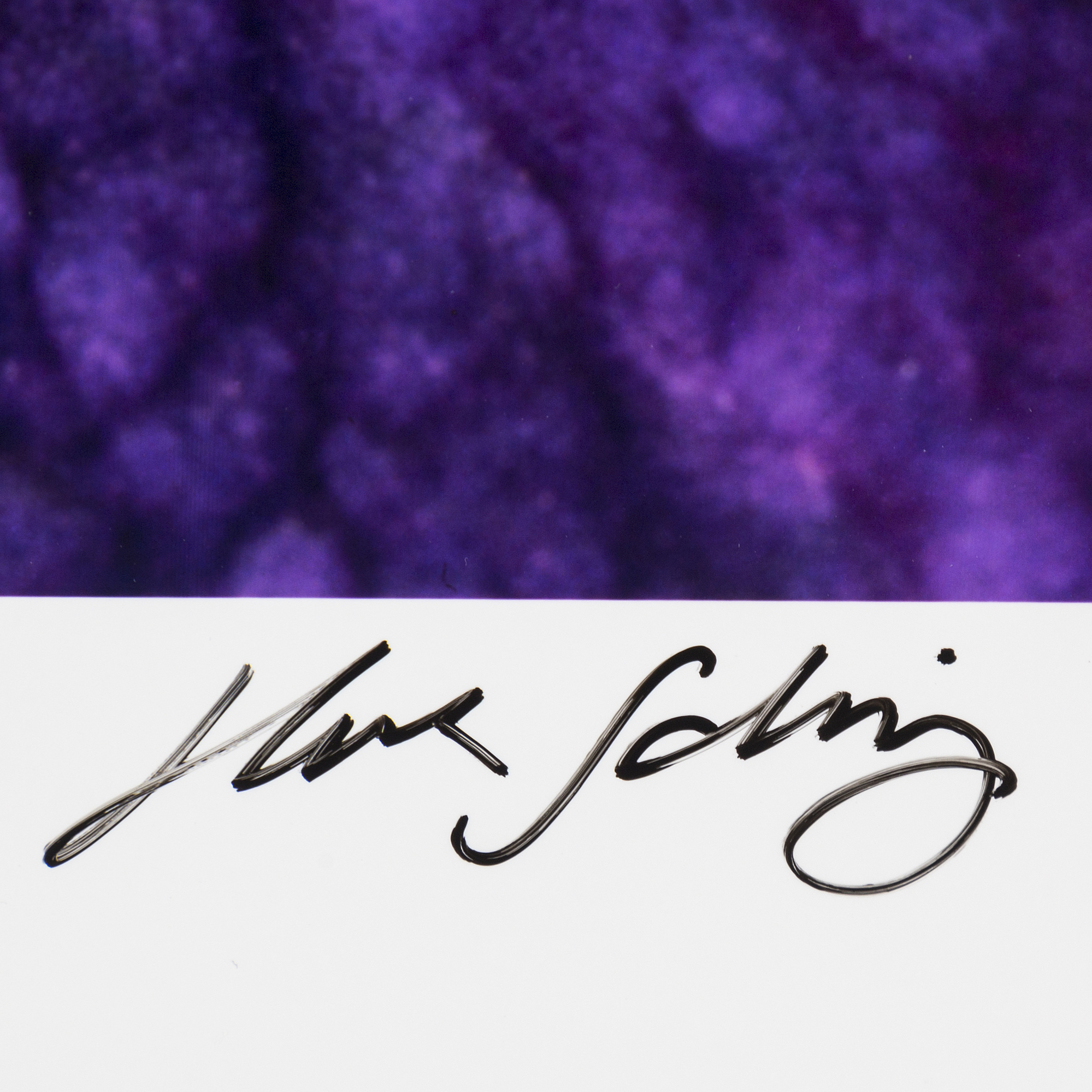 HELENE SCHMITZ, Photograph, signed. - Bukowskis