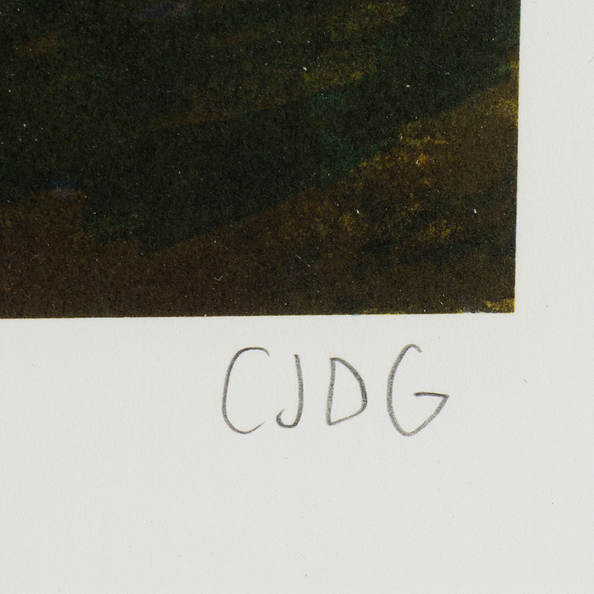 CARL JOHAN DE GEER, lithograph in colours, signed CJDG and 218/295 in ...