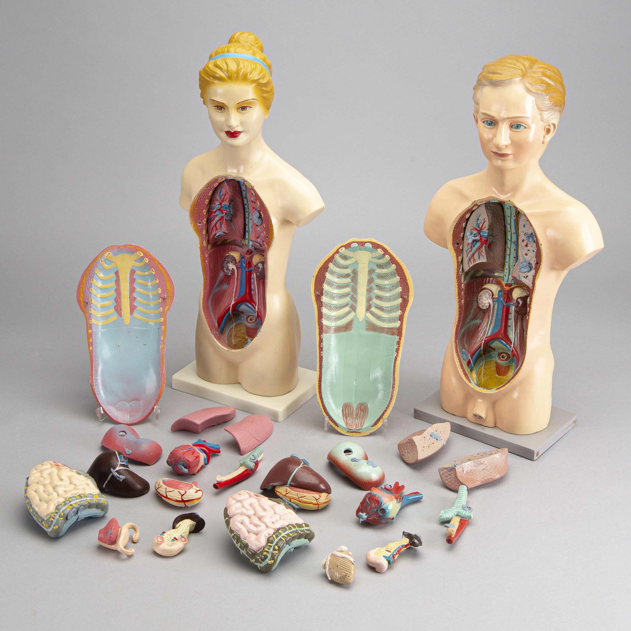 ANATOMISKA MODELLER, ett par, 1900-talets första hälft. - Bukowskis