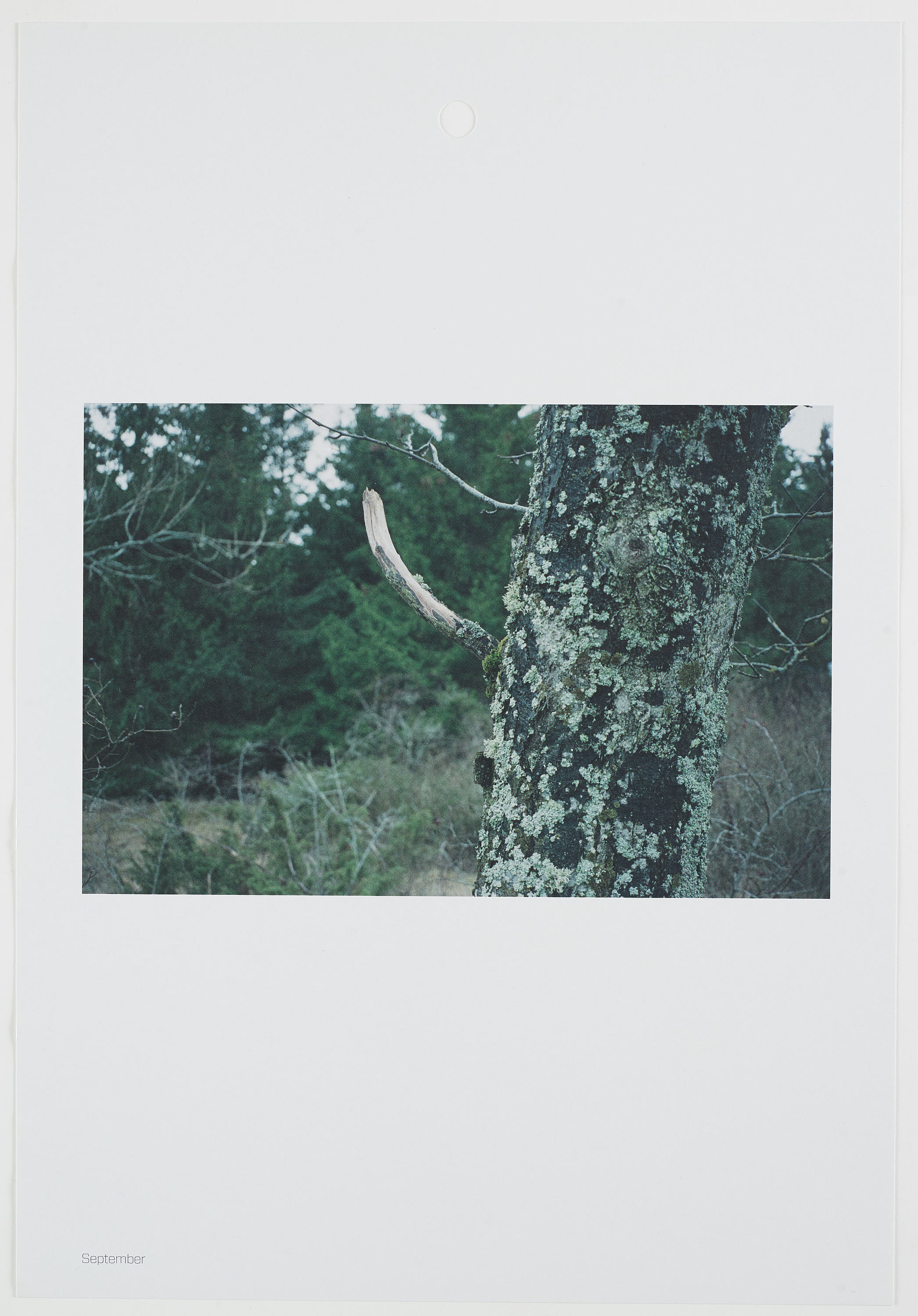 ANDREAS ERIKSSON, portfolio. Signed AE inside the box and numbered 18/ ...