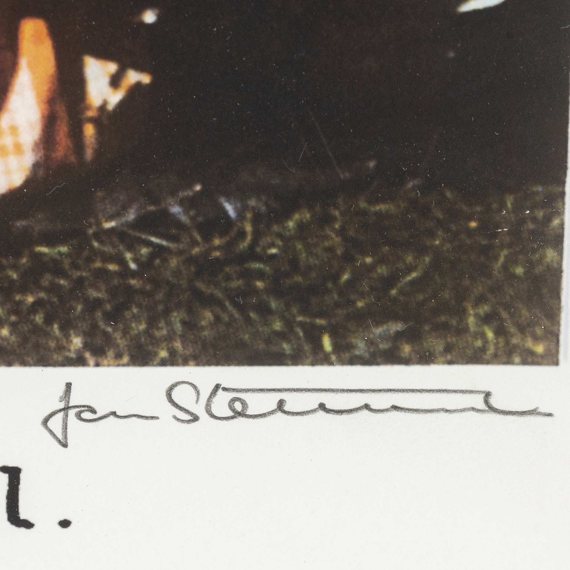 Jan Stenmark, färglitografi, signerad 6/150. - Bukowskis