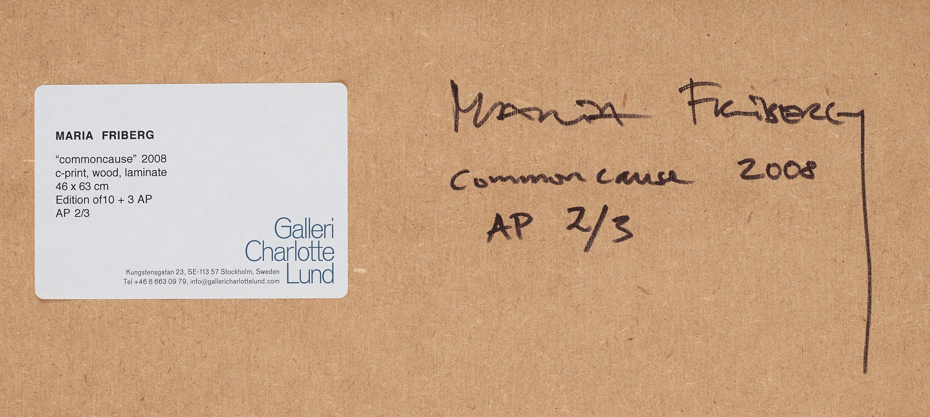 Maria Friberg, "Commoncause", 2008. - Bukowskis