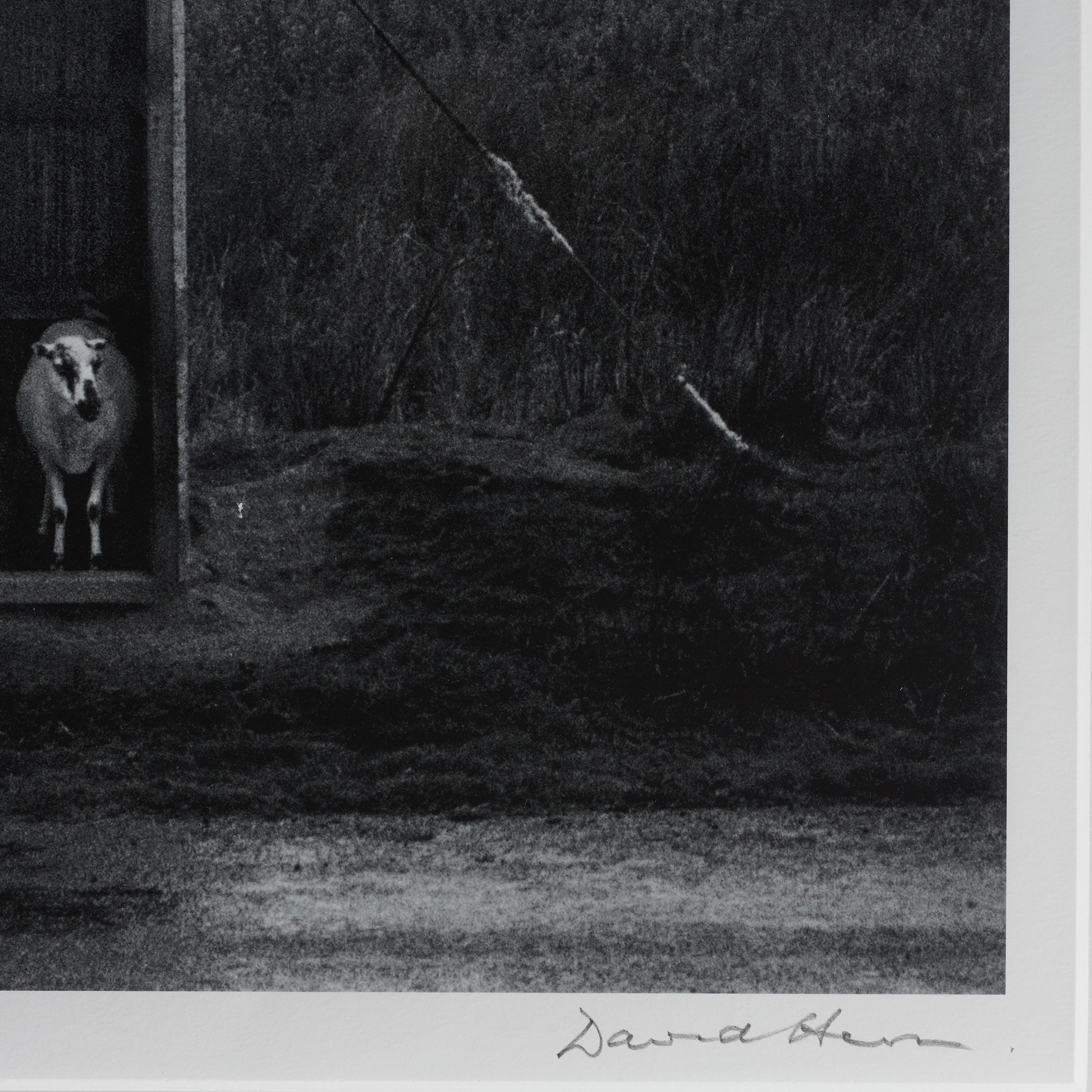 David Hurn, "Eppynt, Wales", 1973. - Bukowskis