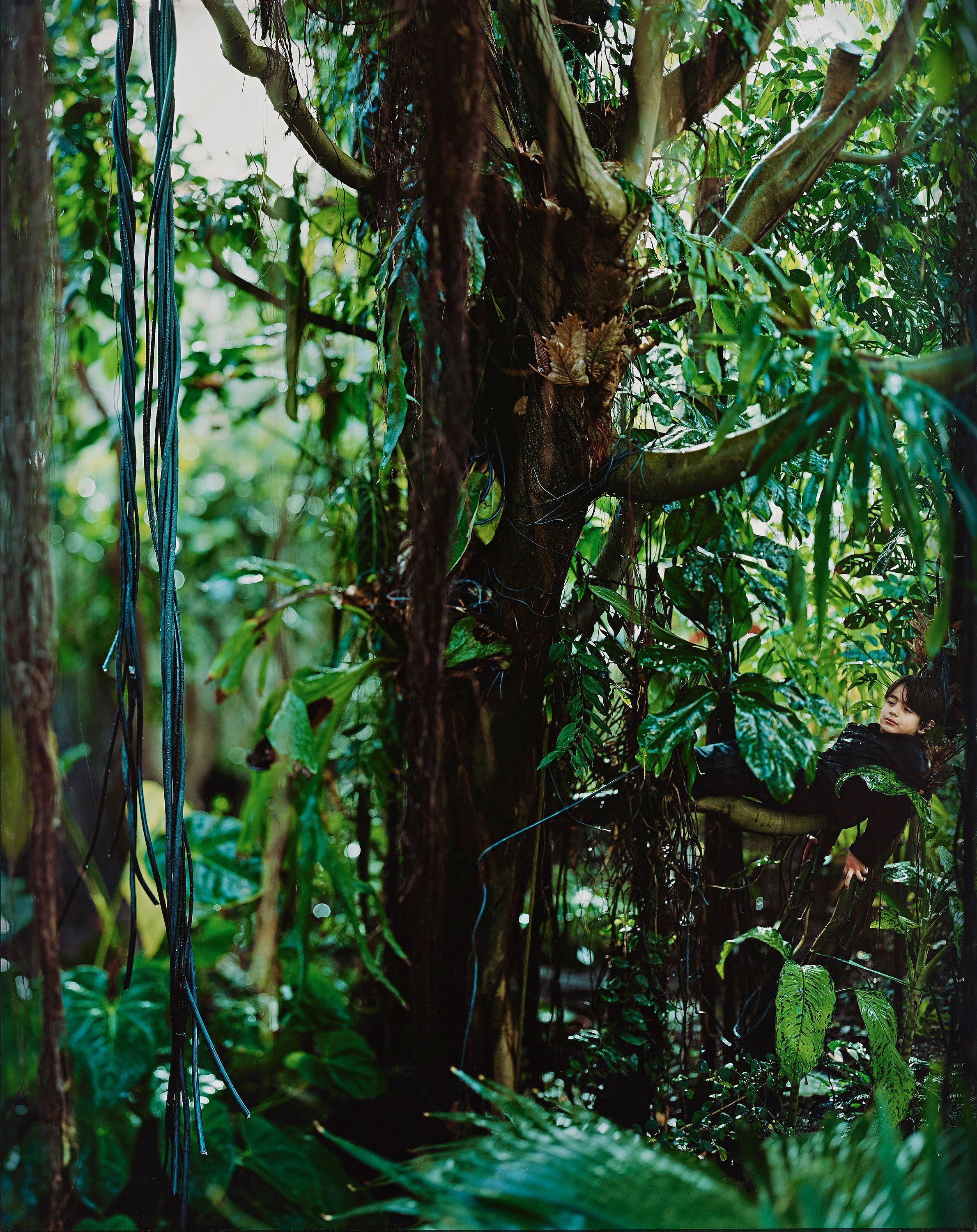 Maria Friberg, "Days of Eyes 1", 2014. - Bukowskis