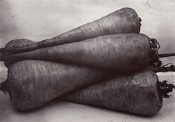 Charles Jones, "Parsnip Student" ca 1900-1902. - Bukowskis