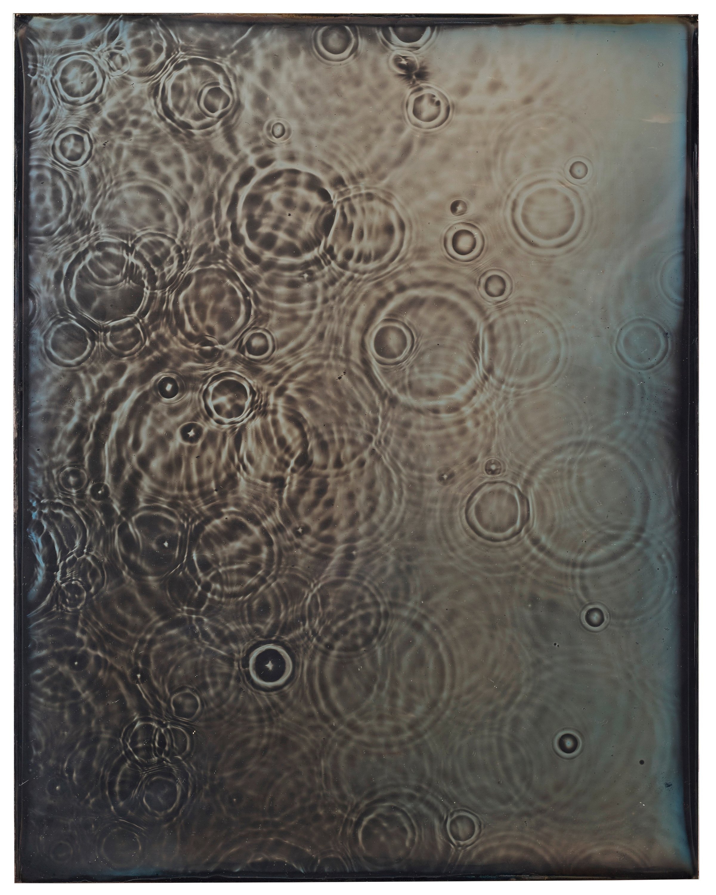 Adam Fuss, "Untitled", 2004. - Bukowskis