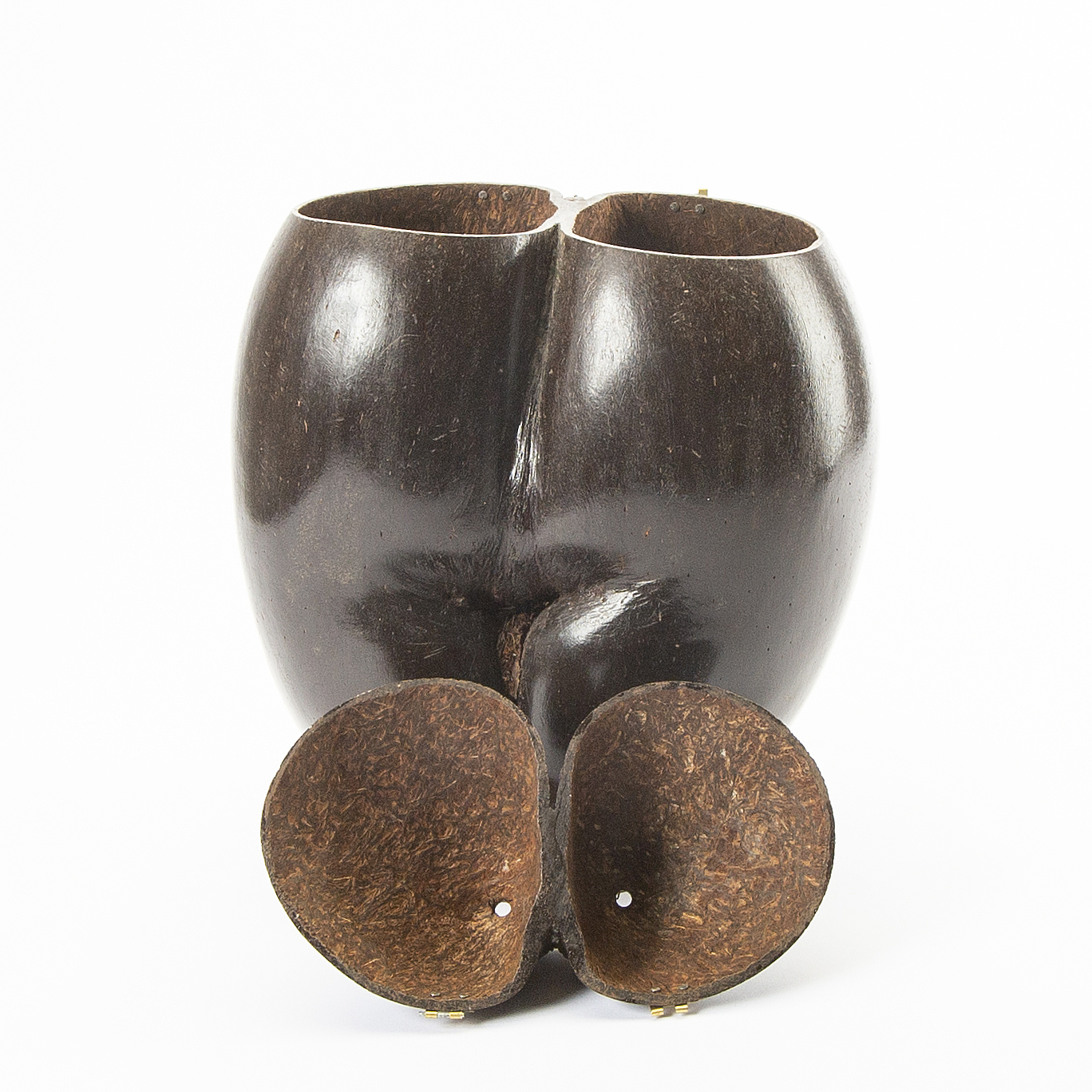 Ash, double coconut, so called Coco de Mer, Lodoicea maldivica. - Bukowskis