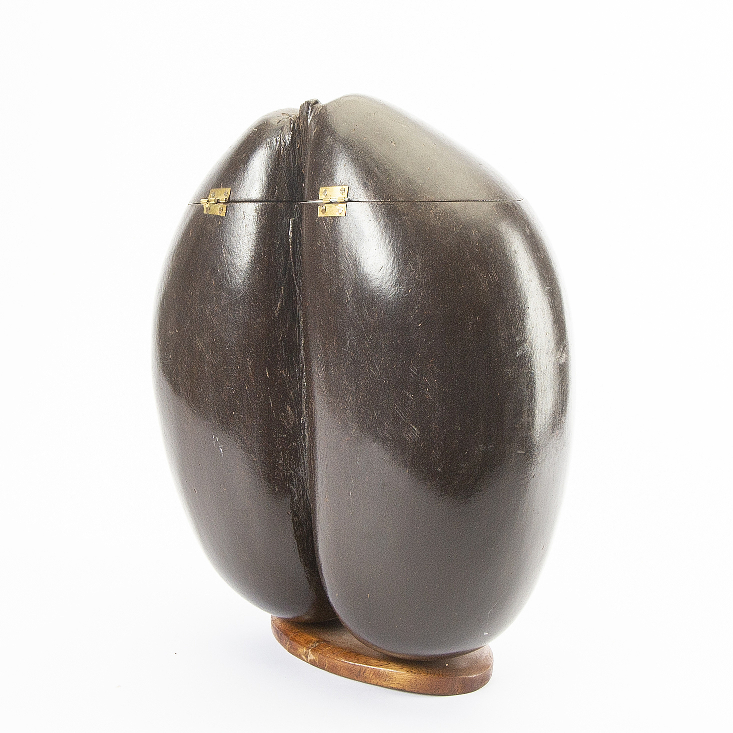 Ash, double coconut, so called Coco de Mer, Lodoicea maldivica. - Bukowskis