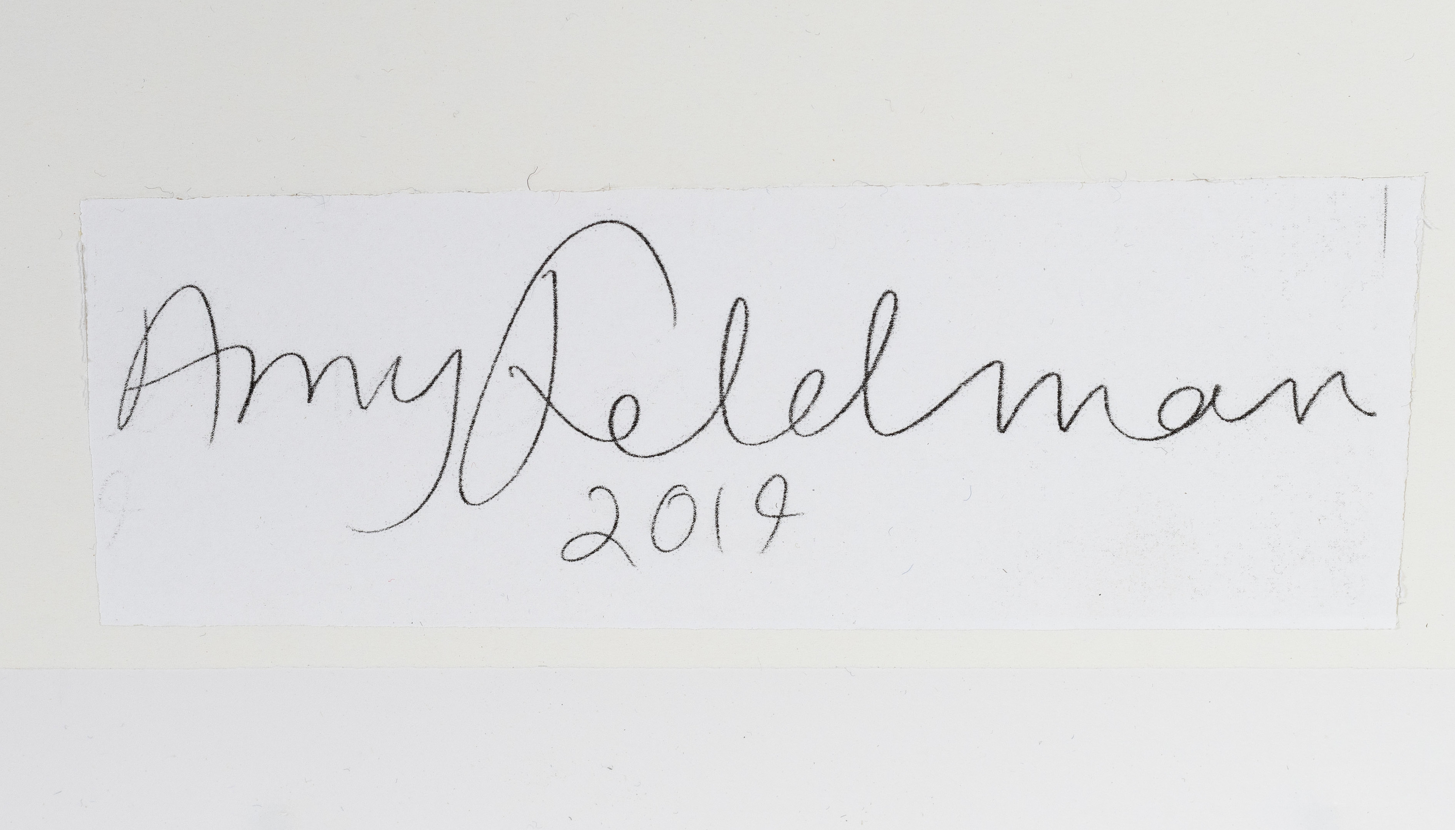 Amy Feldman, lithograph in colours, 2019, signed, verso. Ed 2/8 ...