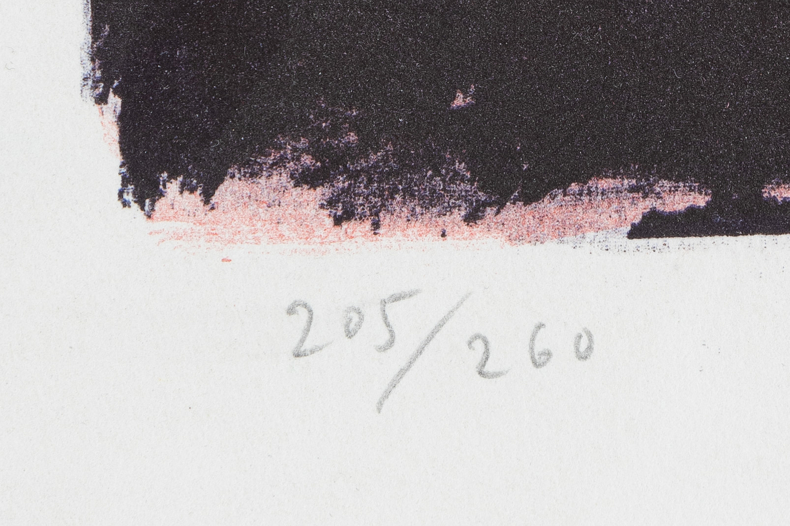Peter Dahl, a litograph in colors, numbered 205/260, signed and dated ...