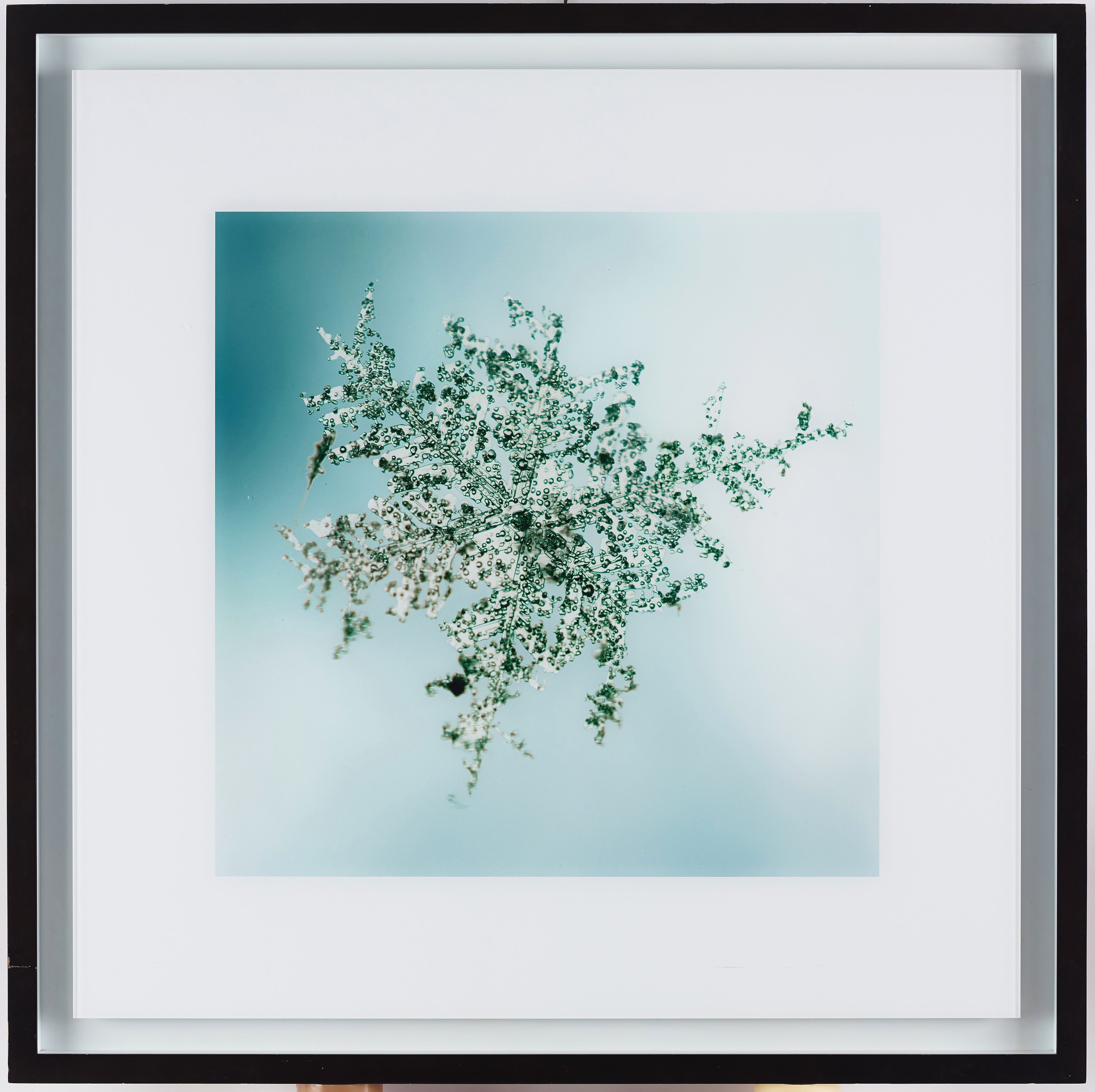 Mike & Doug Starn (Starn Twins), "Sno6 047.1", 2006-2007. - Bukowskis