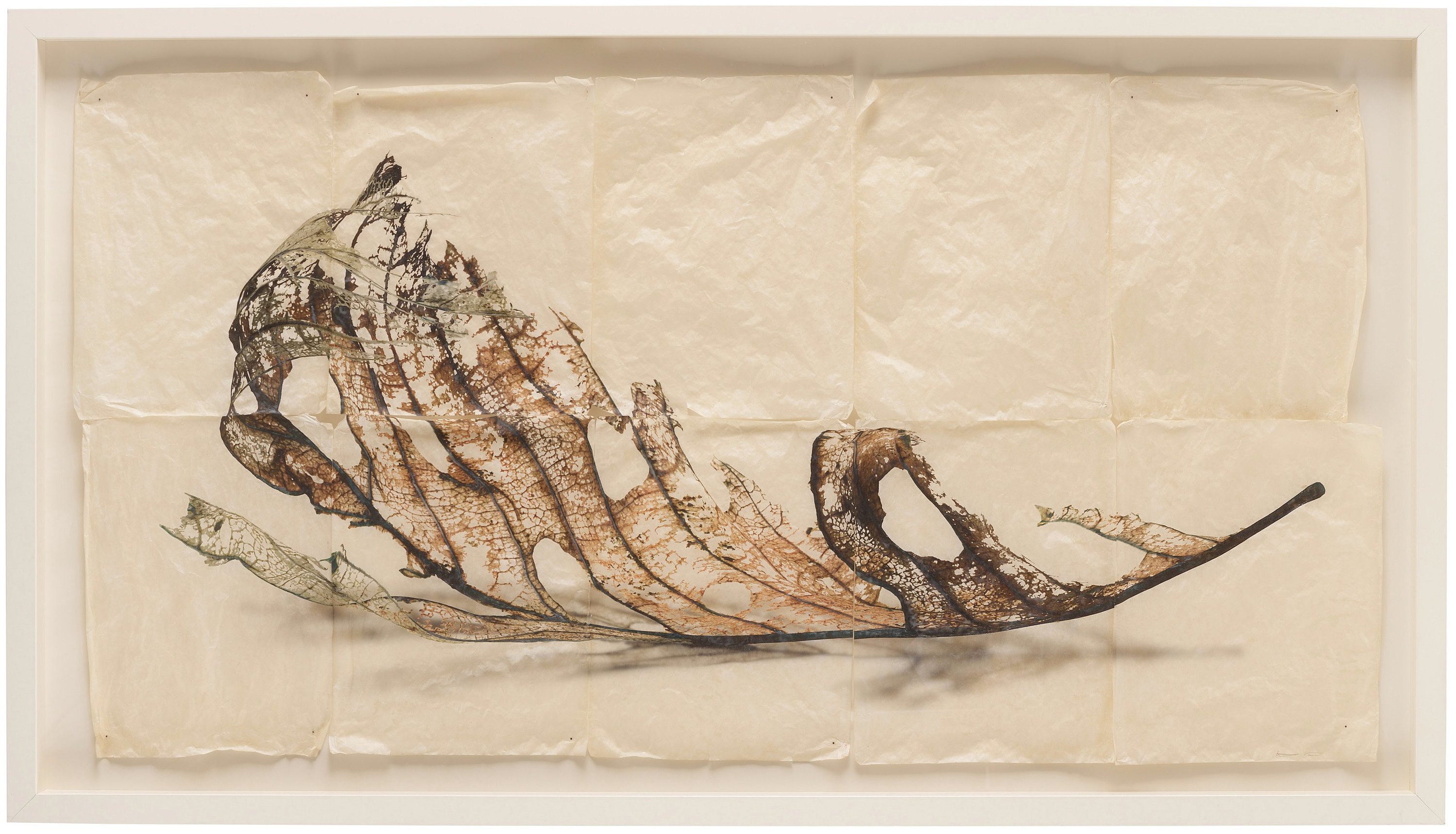 Mike & Doug Starn (Starn Twins), "Black Pulse #17", 2000-2007. - Bukowskis