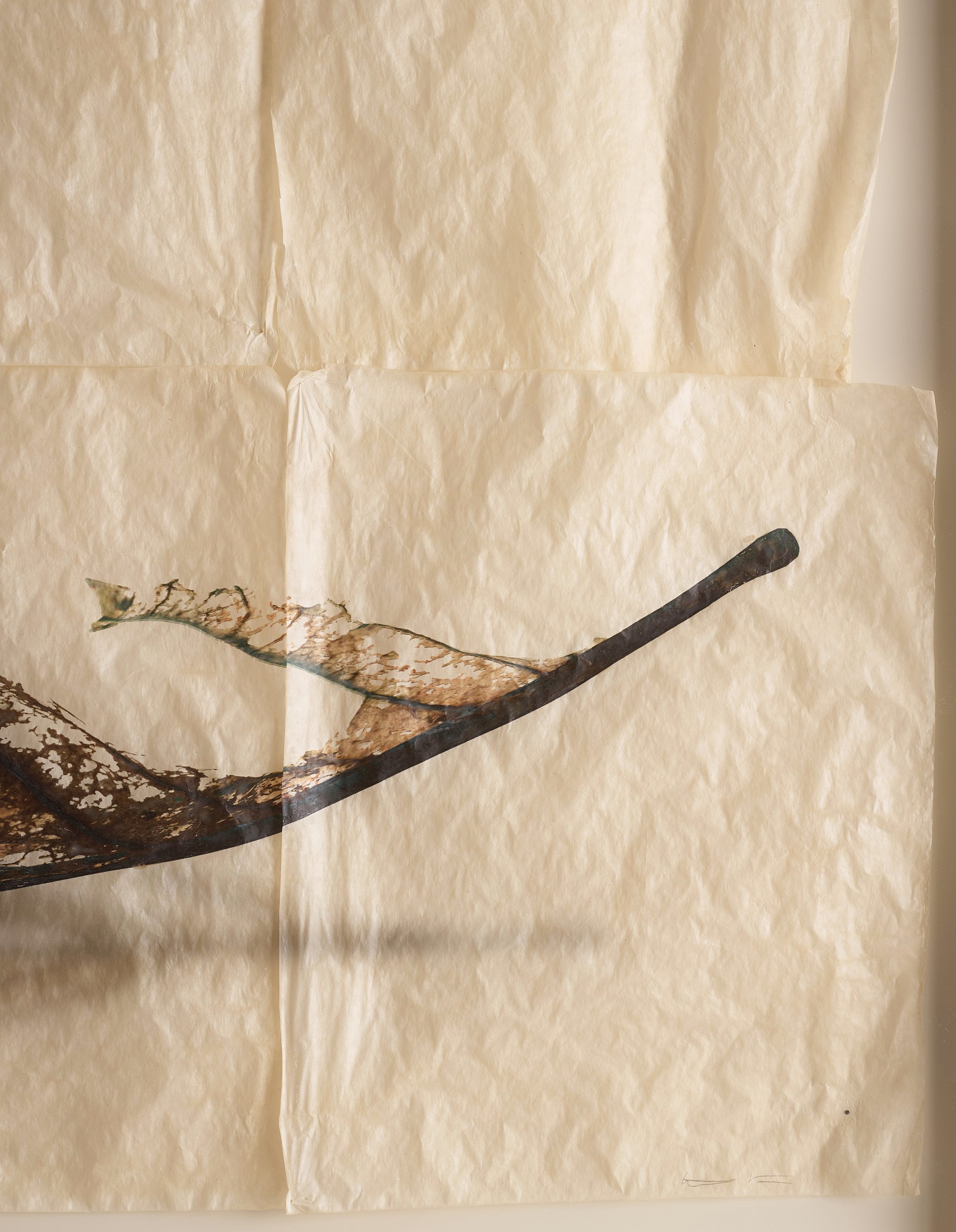 Mike & Doug Starn (Starn Twins), "Black Pulse #17", 2000-2007. - Bukowskis