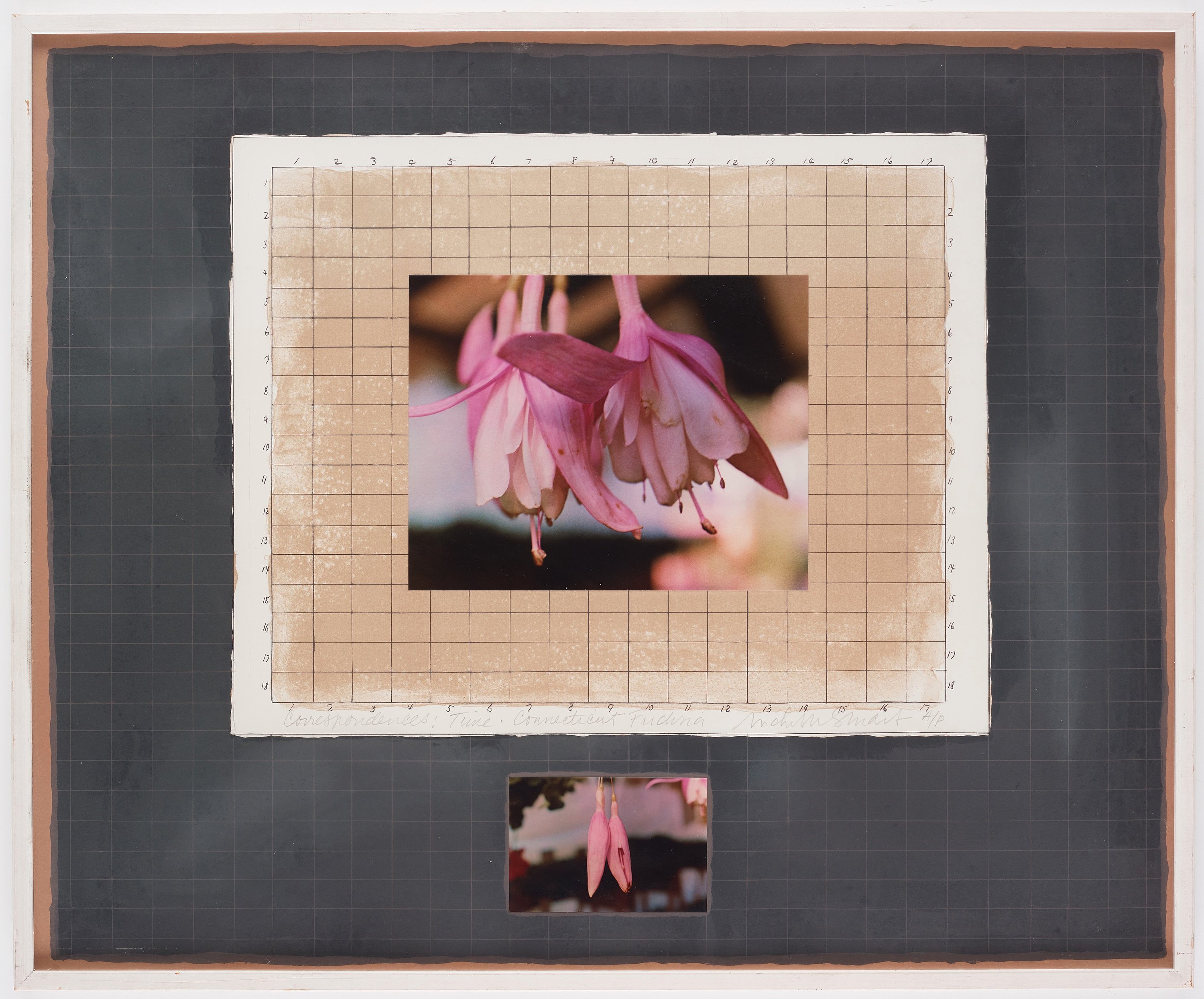 Michelle Stuart, "Correspondences: Time Connecticut Fuchsia". - Bukowskis