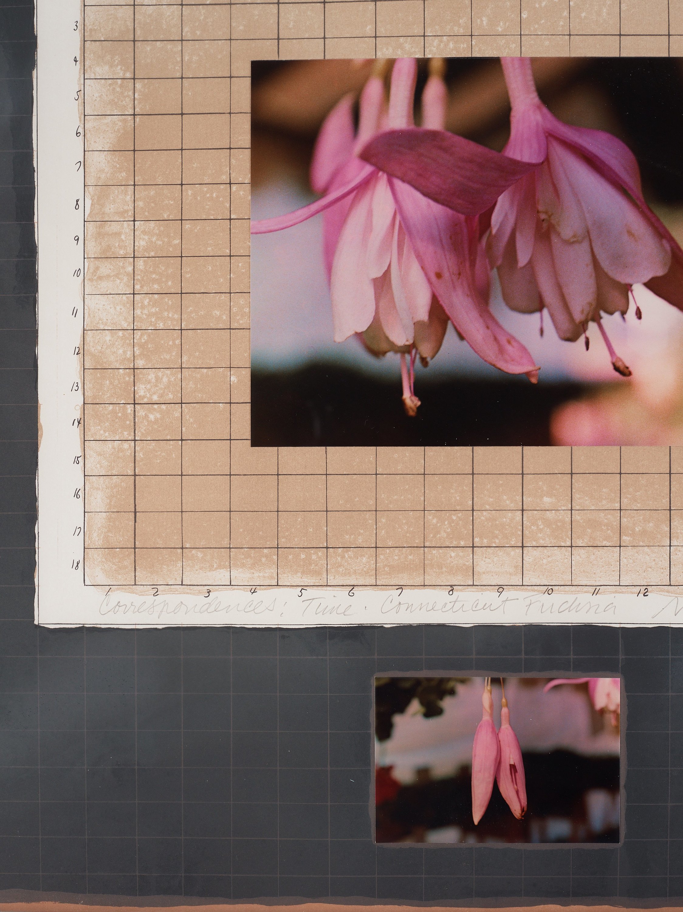 Michelle Stuart, "Correspondences: Time Connecticut Fuchsia". - Bukowskis