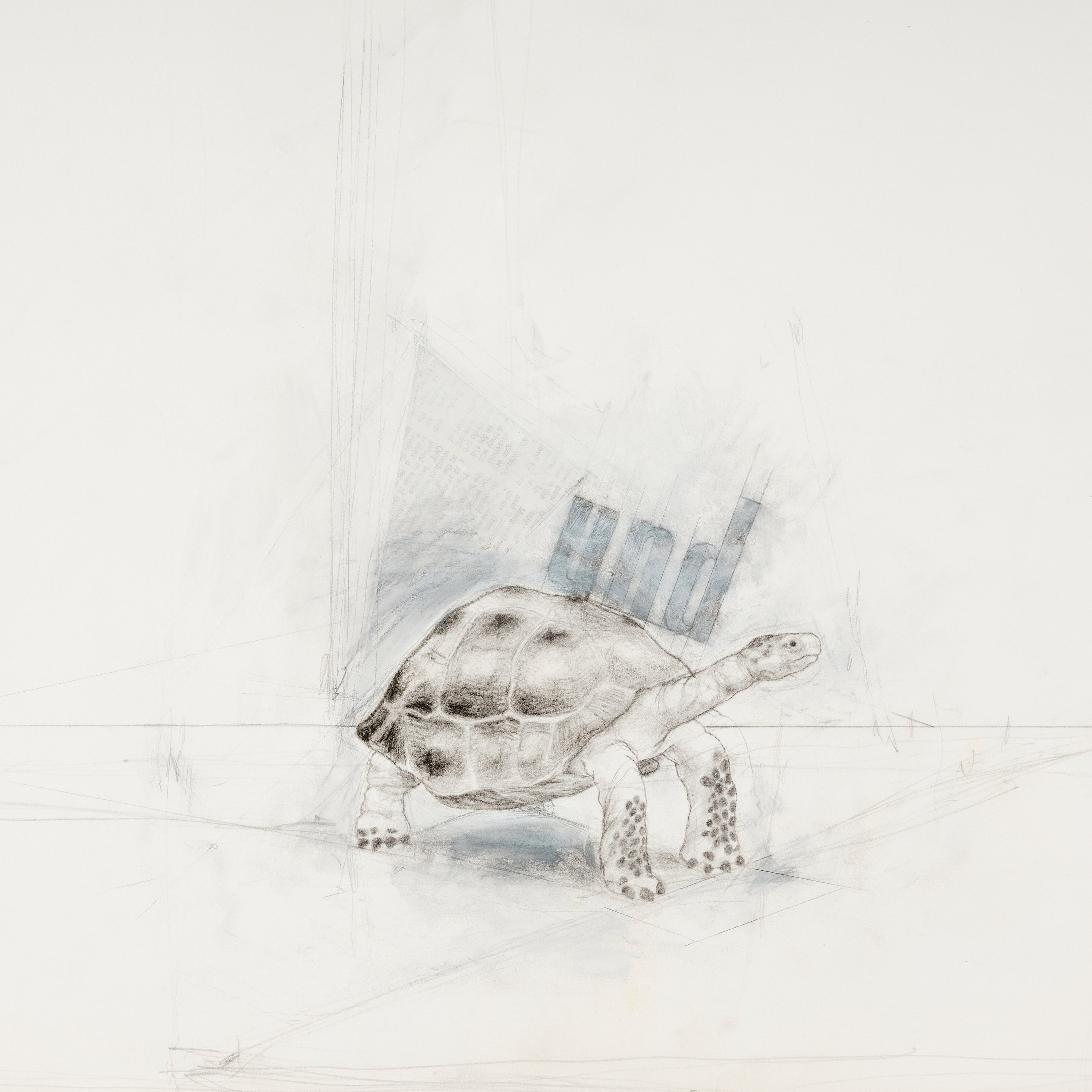 PG Thelander, Sköldpadda. - Bukowskis