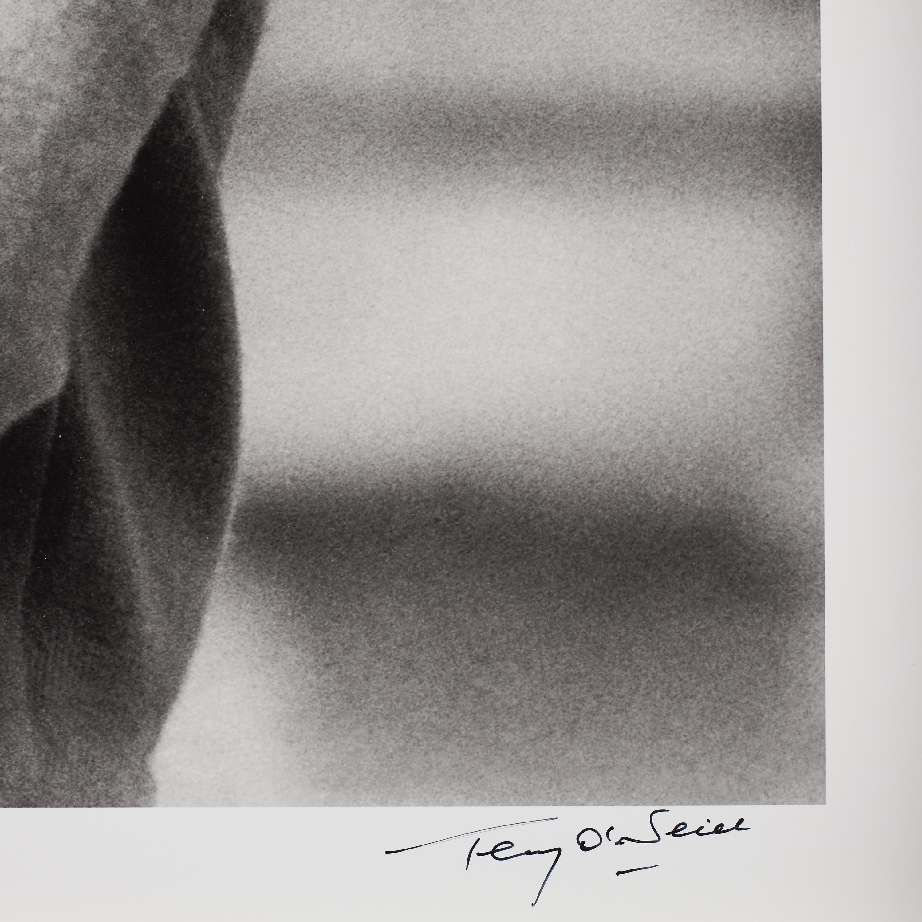 Terry O'Neill, 'Audrey Hepburn with Dove, St Tropez 1967'. - Bukowskis