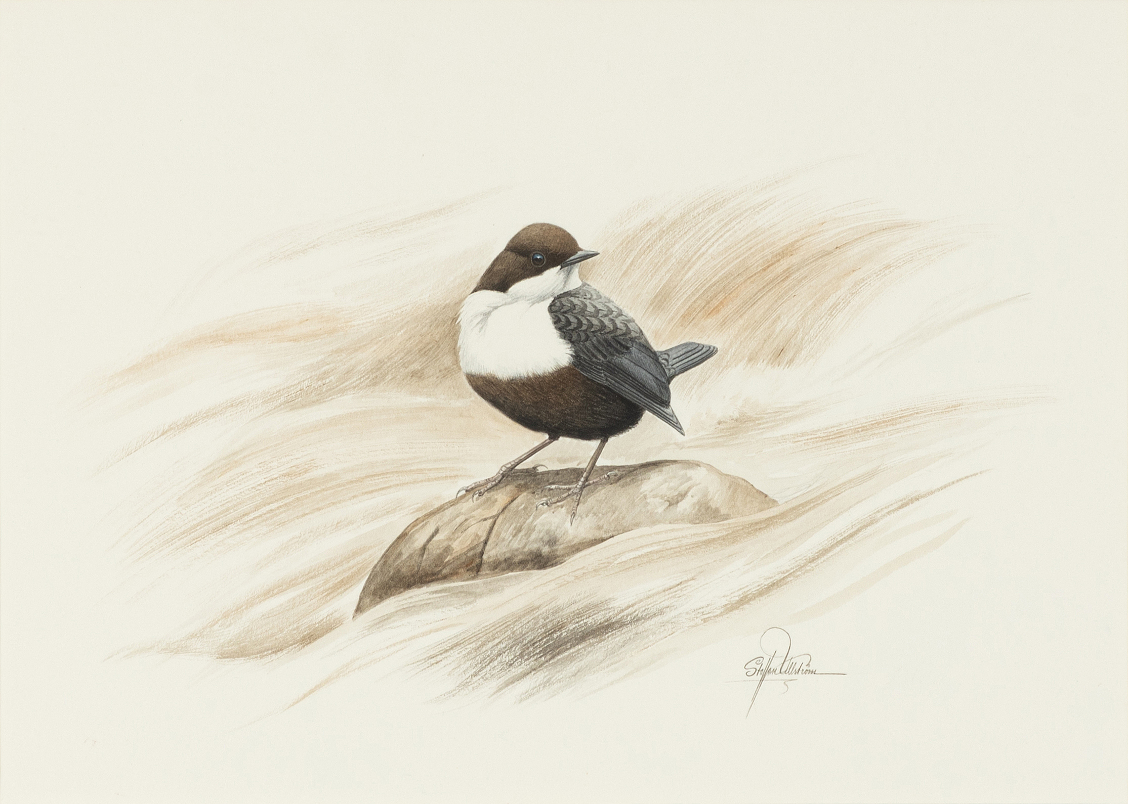 Staffan Ullström, Strömstare. - Bukowskis