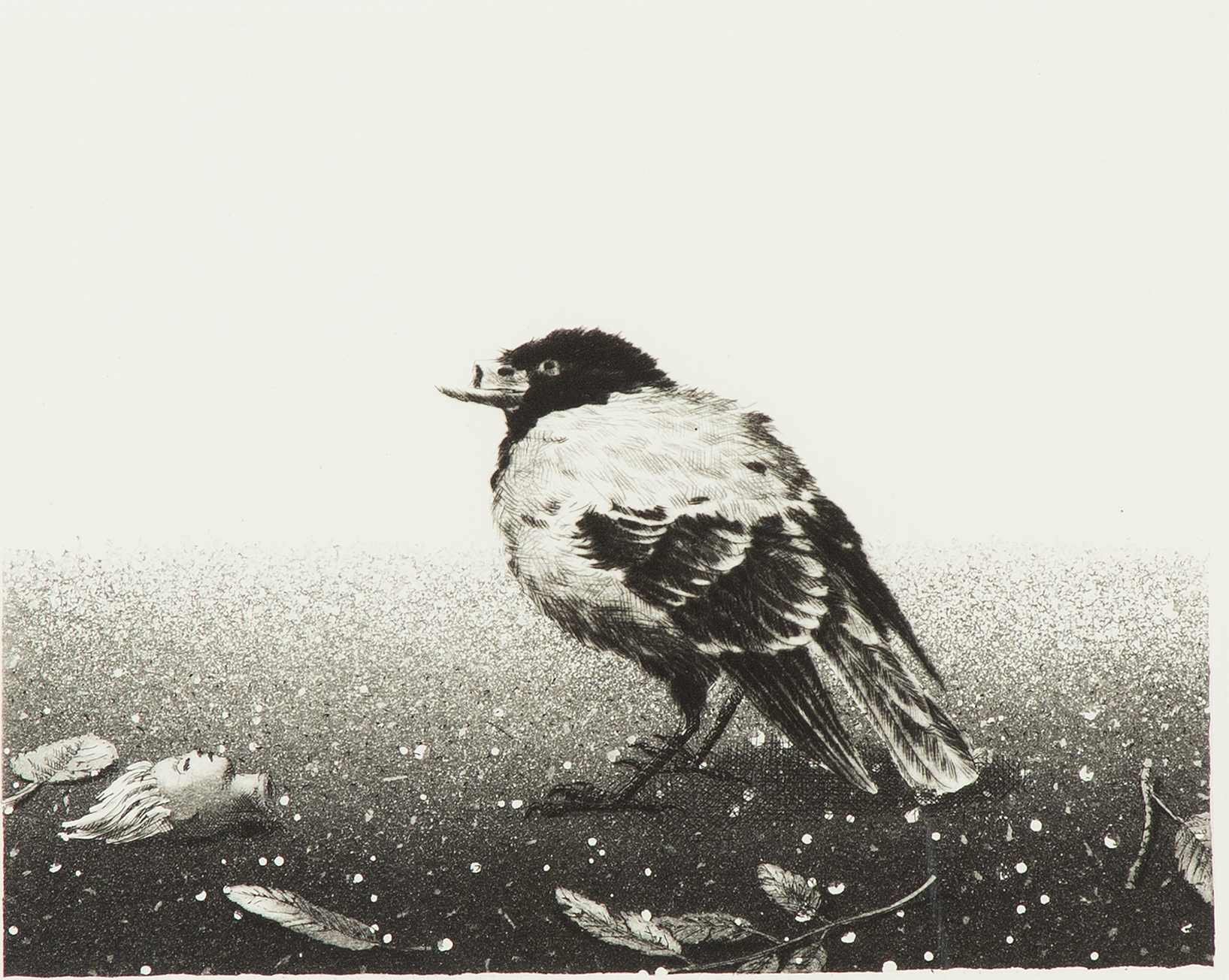 Esa Riippa, "Näbbskata". - Bukowskis