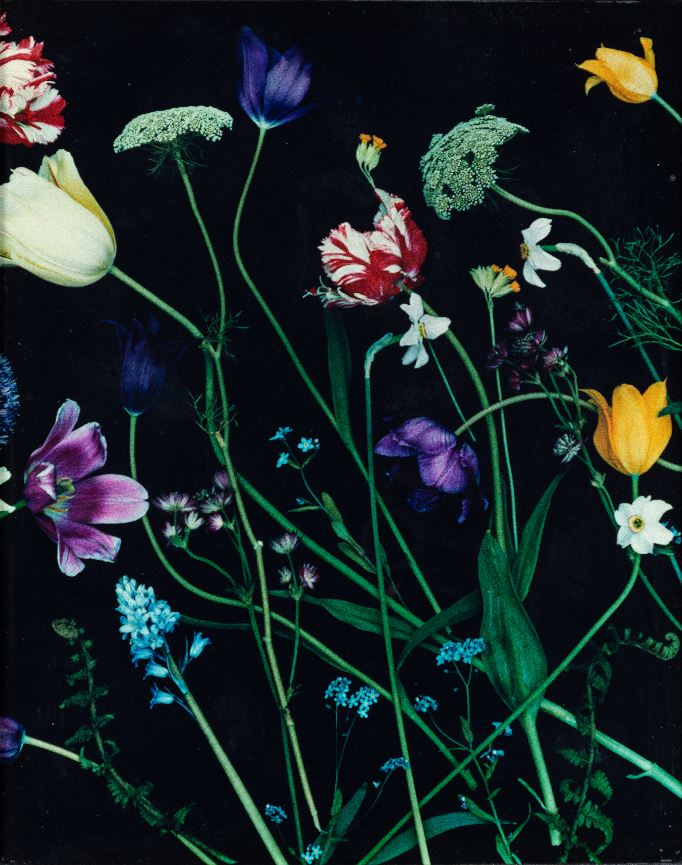 Denise Grünstein, "21 maj", 2007. - Bukowskis