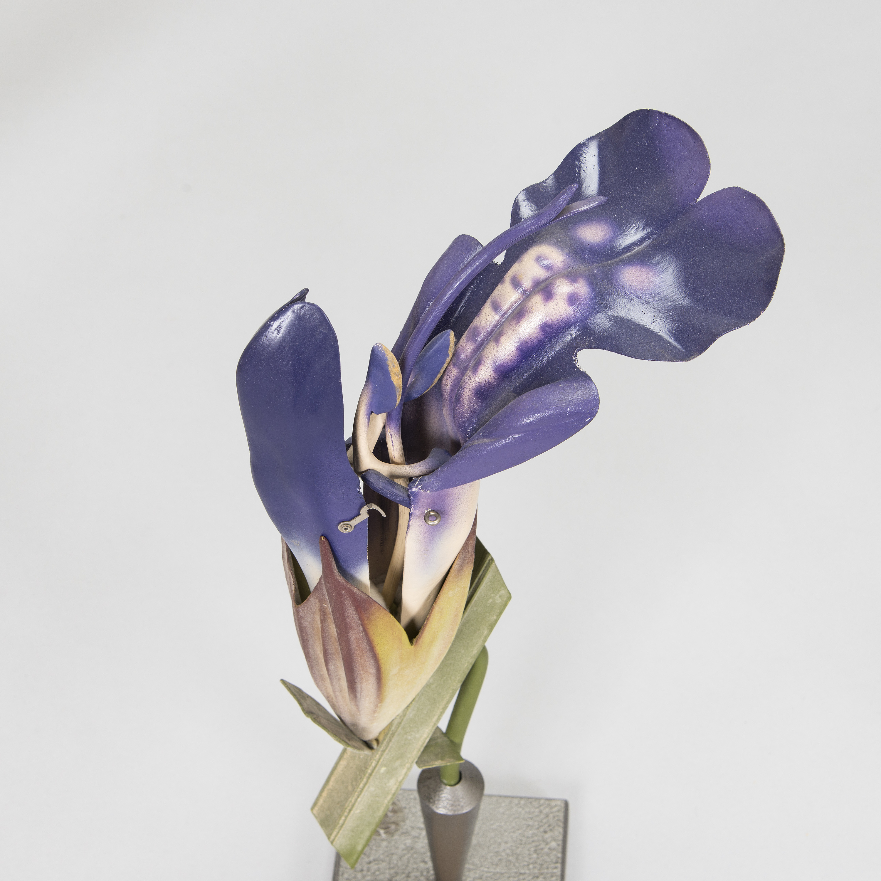 Robert Brendel & Carl Leopold Lohmeyer, Undervisningsmaterial ...