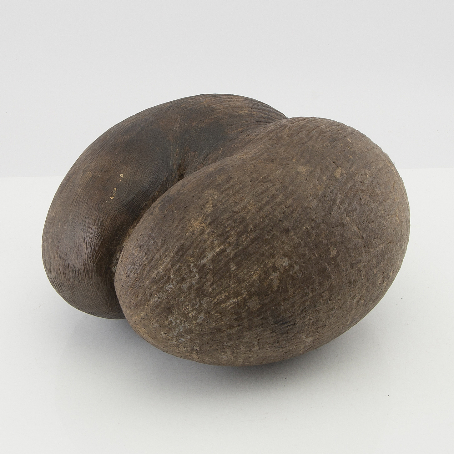 double coconut, also known as Coco de Mer, Lodoicea maldivica. - Bukowskis