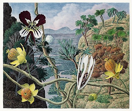 Karl Axel Pehrson, "Utsikt Xesoitto". - Bukowskis