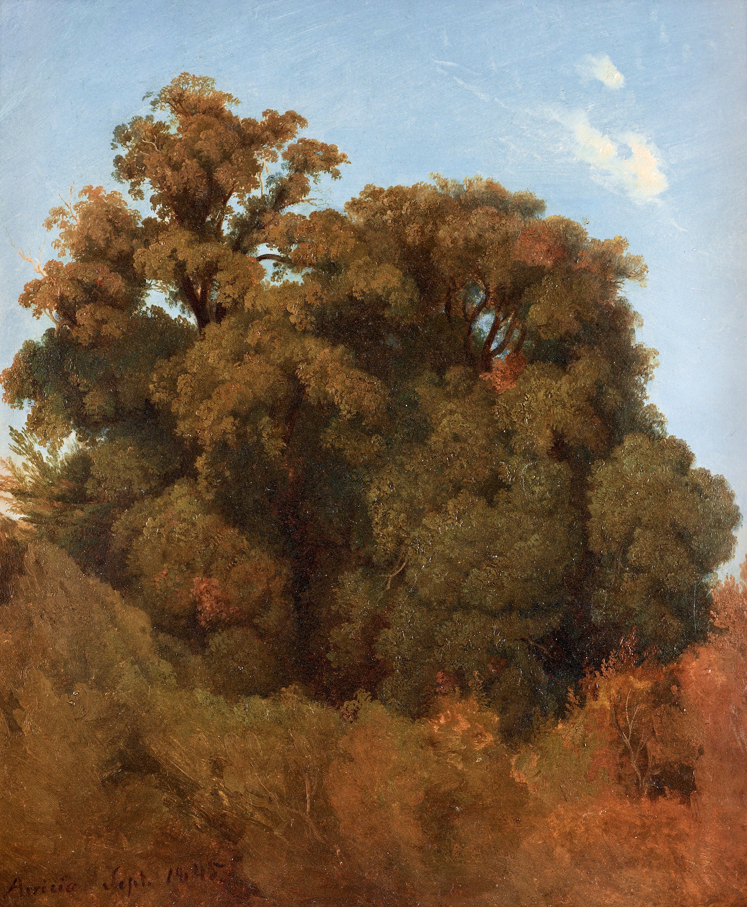 Joseph Magnus Stäck, Study of trees, Arricia. - Bukowskis
