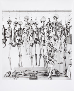 Frederick-Edwin Bertin, French women, The Science Anthropology Dept ...