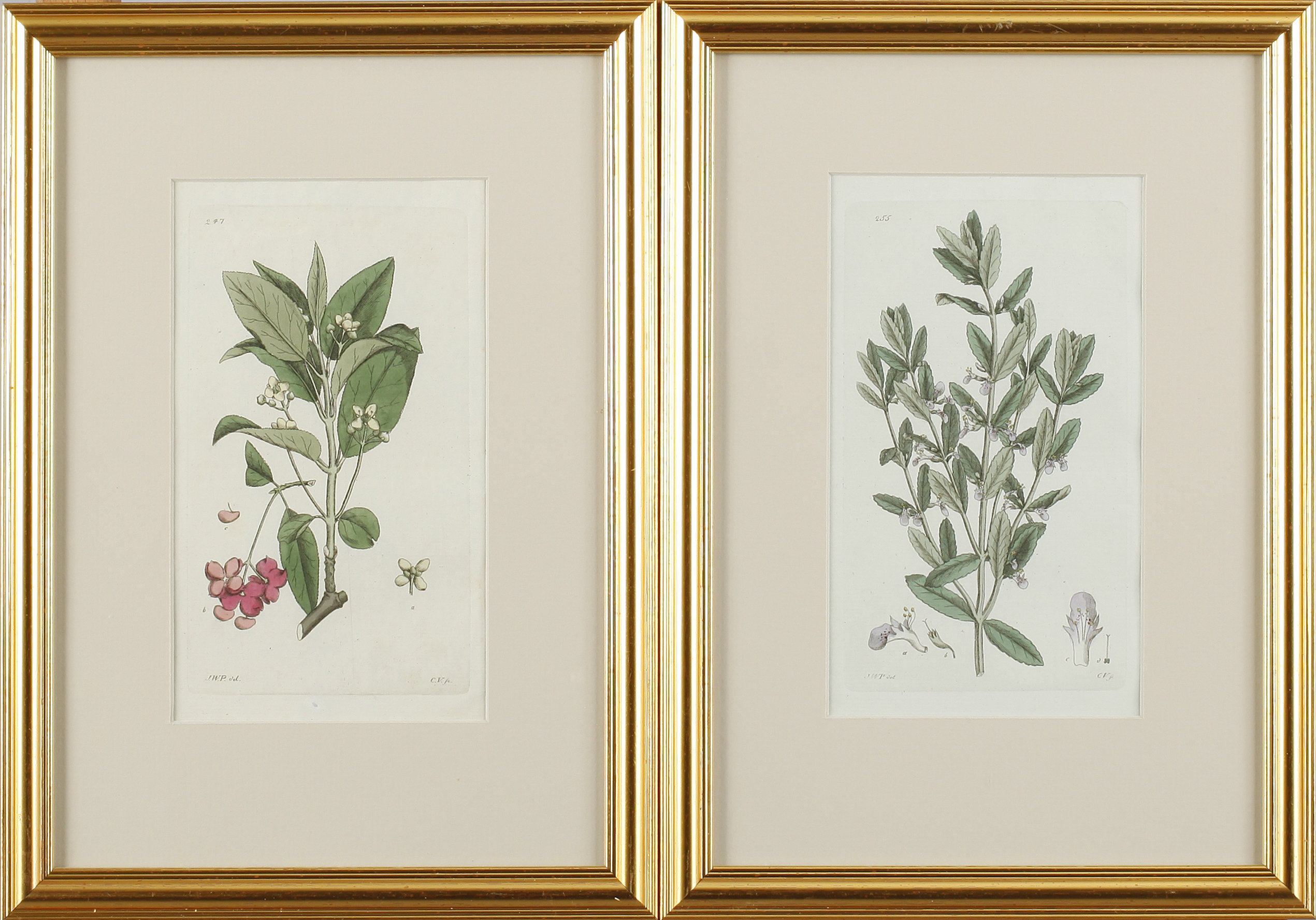 JOHAN WILHELM PALMSTRUCH, 6 st, handkolorerade kopparstick. - Bukowskis