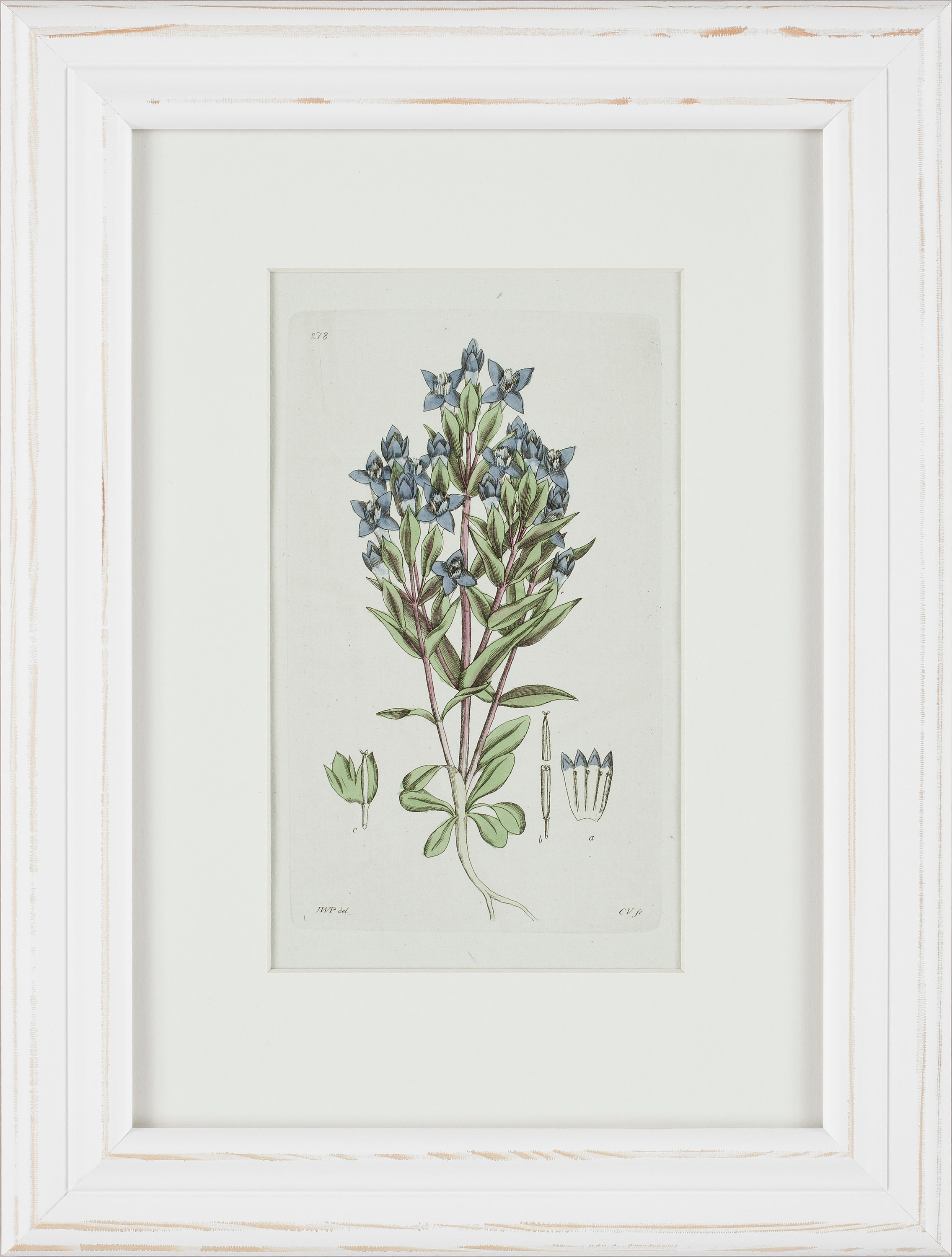 JOHAN WILHELM PALMSTRUCH, 6 st, handkolorerade kopparstick. 1800-tal ...