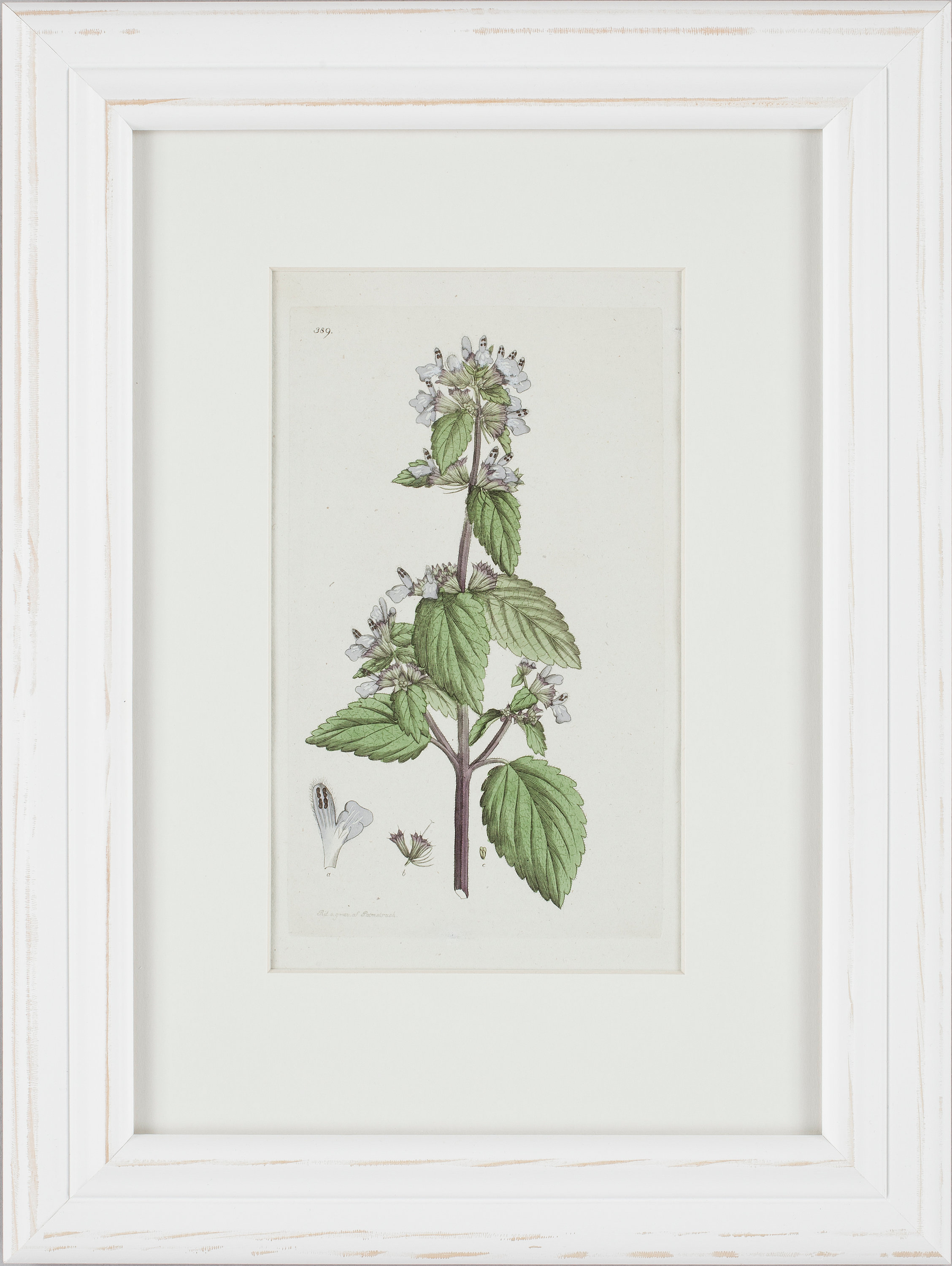 JOHAN WILHELM PALMSTRUCH, 6 st, handkolorerade kopparstick. 1800-tal ...