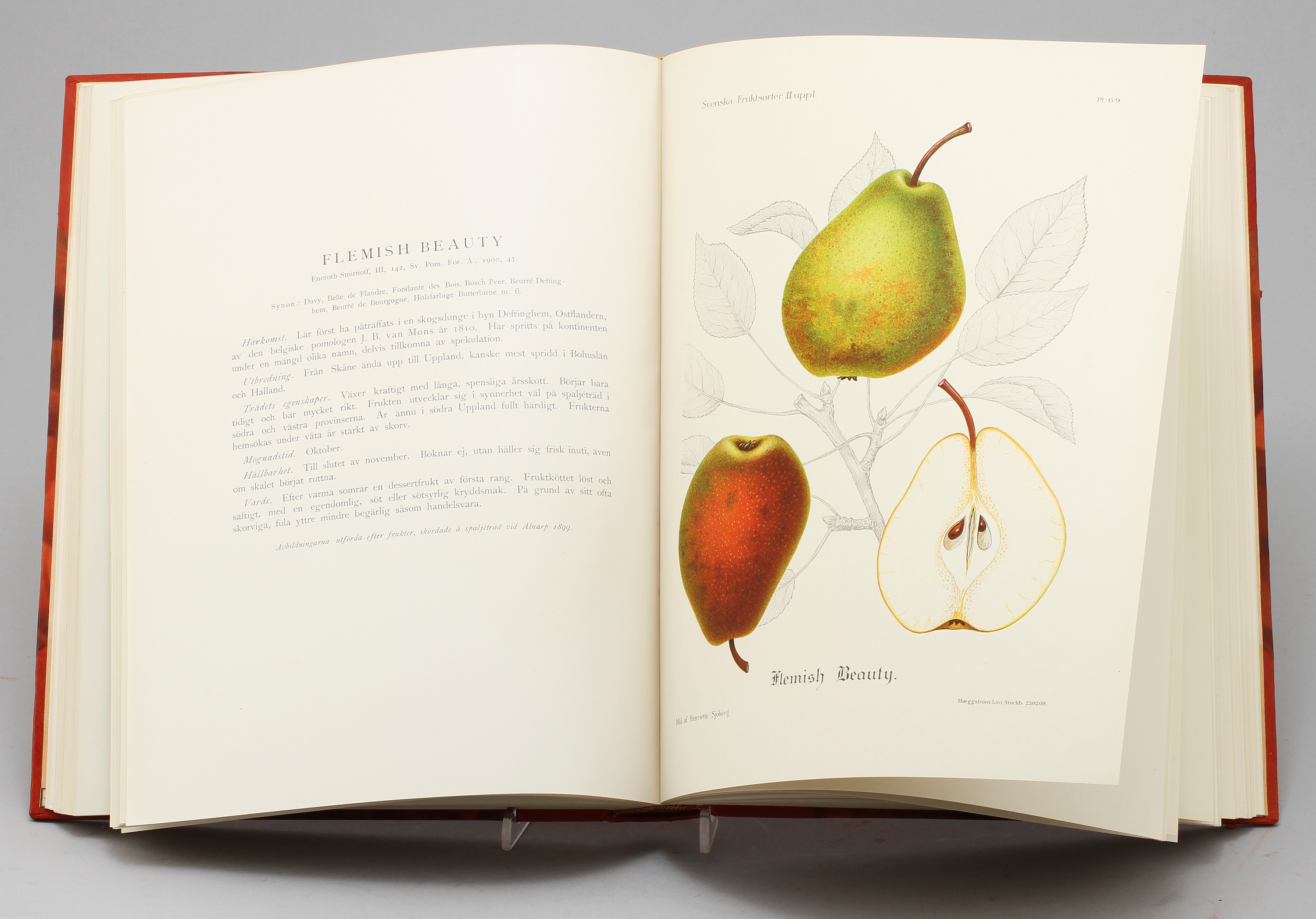 BOK, "Svenska Fruktsorter", Phil-Eriksson, PA Norstedt & Söners Förlag Stockholm 1924. - Bukowskis