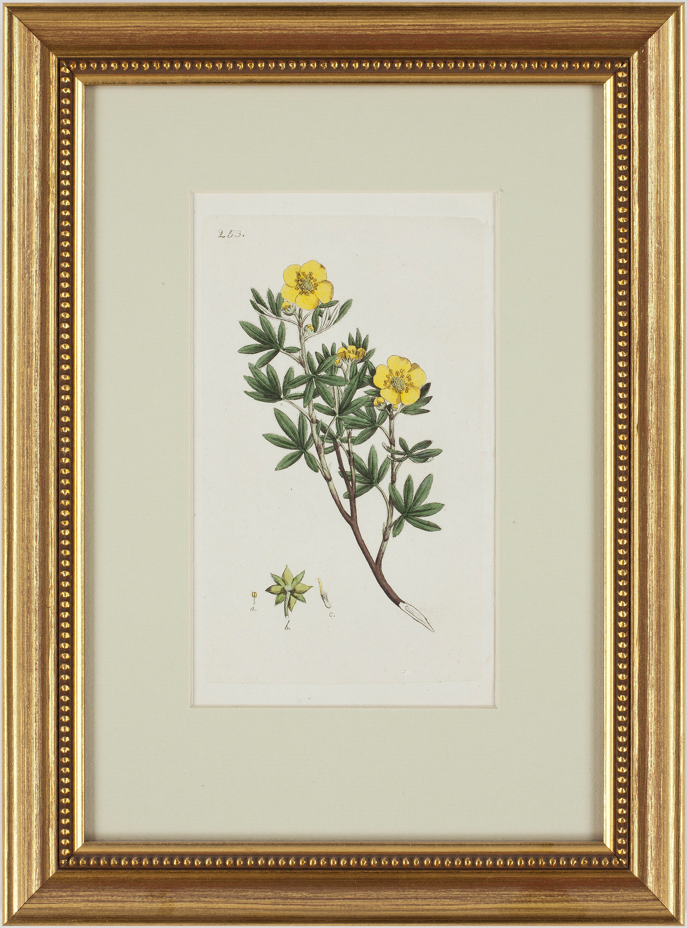 JOHAN WILHELM PALMSTRUCH, 6 st, handkolorerade kopparstick. 1800-tal ...