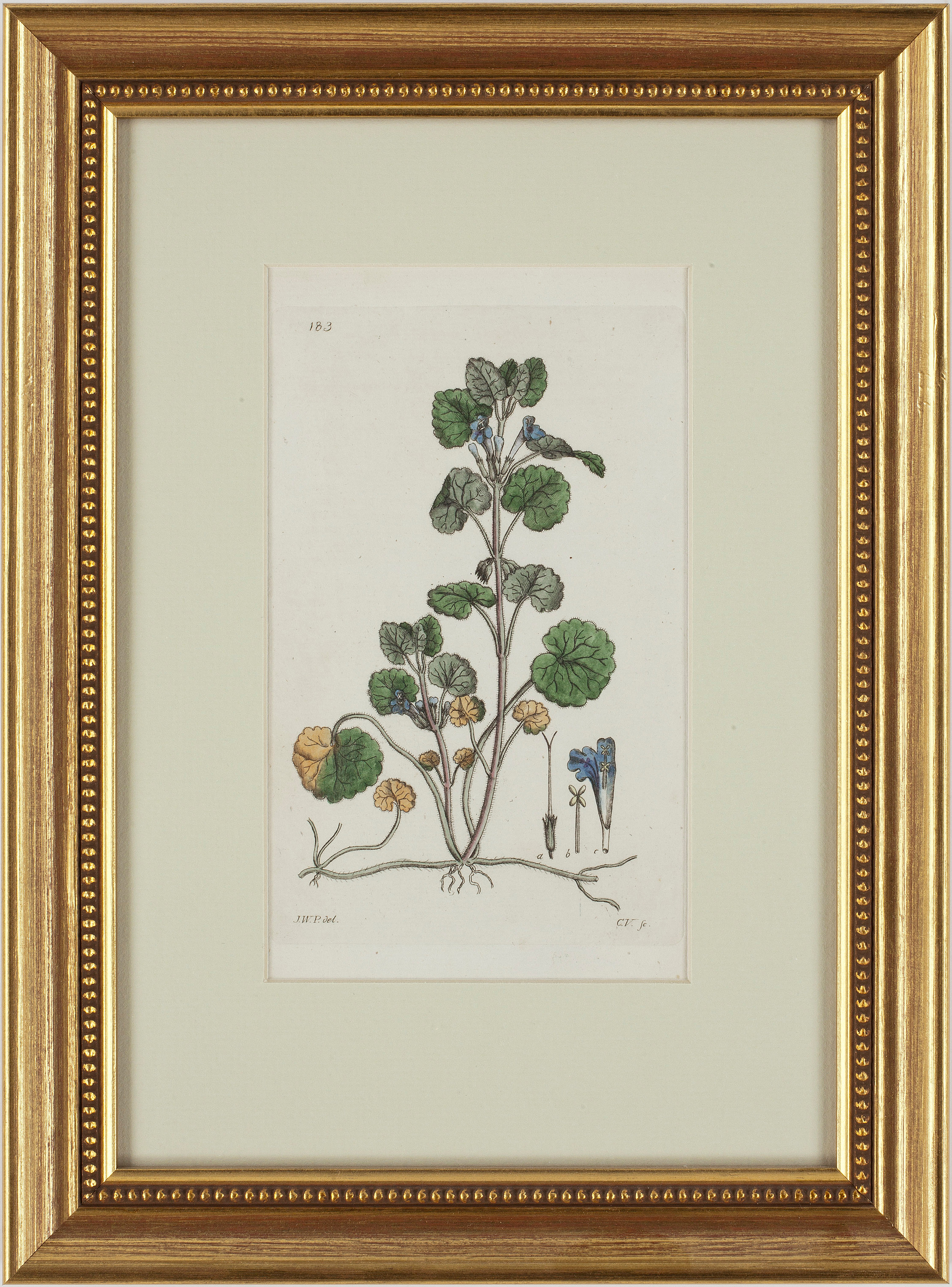 JOHAN WILHELM PALMSTRUCH, 6 st, handkolorerade kopparstick. 1800-tal ...