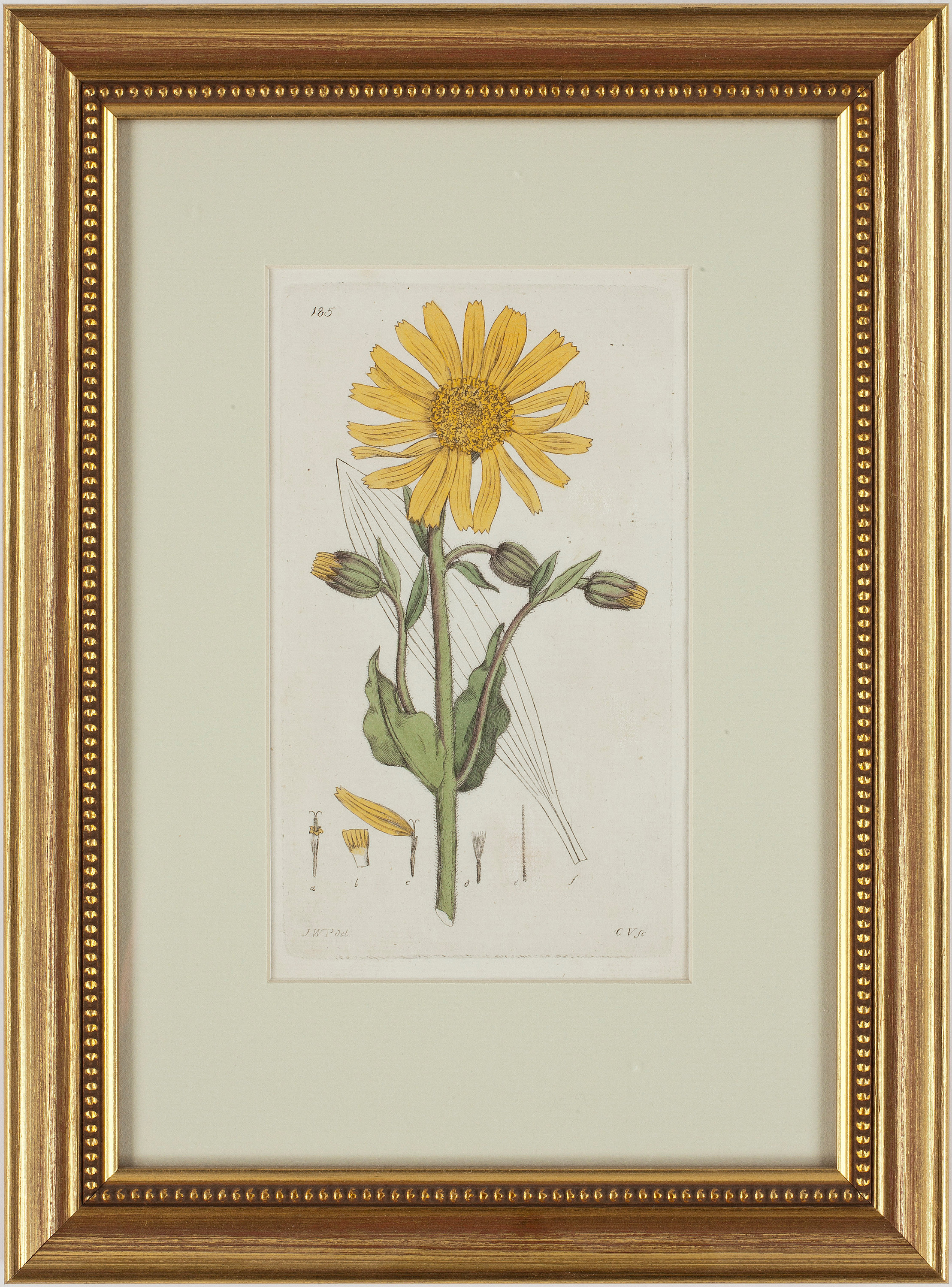 JOHAN WILHELM PALMSTRUCH, 6 st, handkolorerade kopparstick. 1800-tal ...