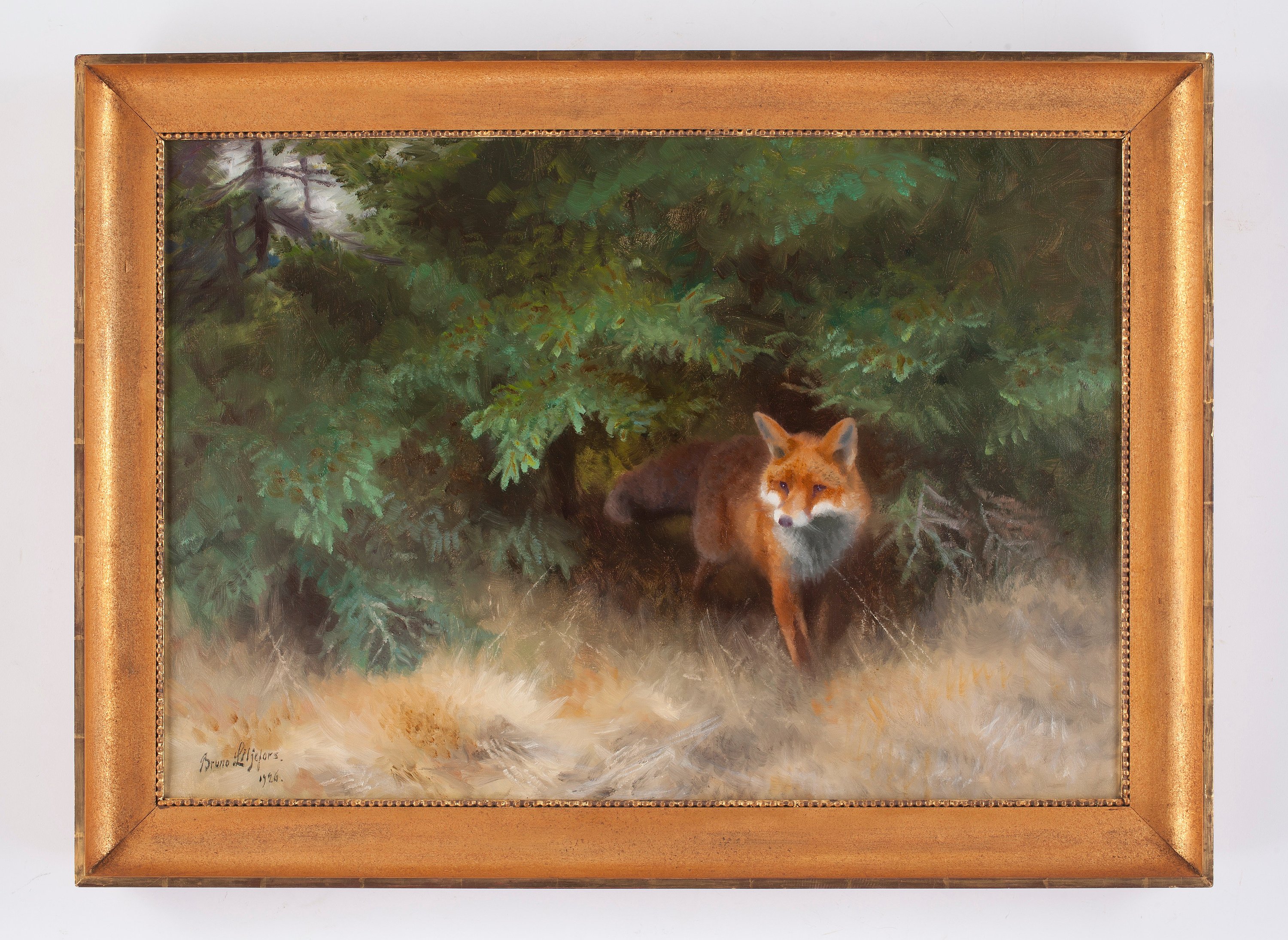 Bruno Liljefors, Fox hiding under spruce. - Bukowskis