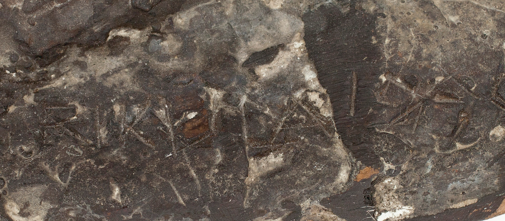 NIILO RIKULA, skulptur, brons, signerad och daterad 1990. - Bukowskis