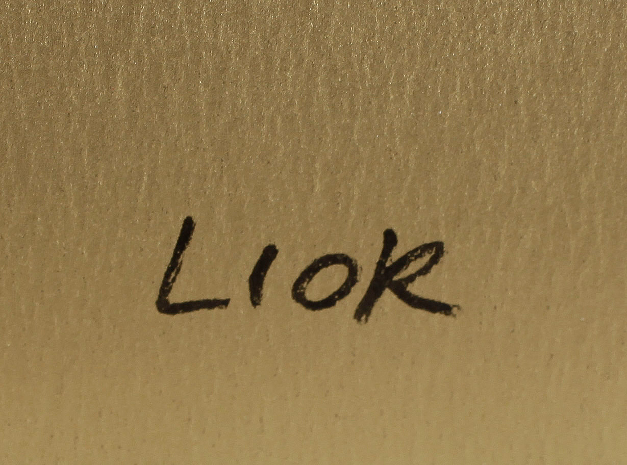 RON LIOR, mapp med 6 seriegrafier, signerad o numrerad 168/250. - Bukowskis