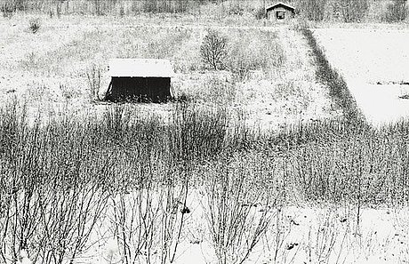 Sune Jonsson, "Igenväxande åker, Hössjö, Umeå, 21 oktober 1972 ...