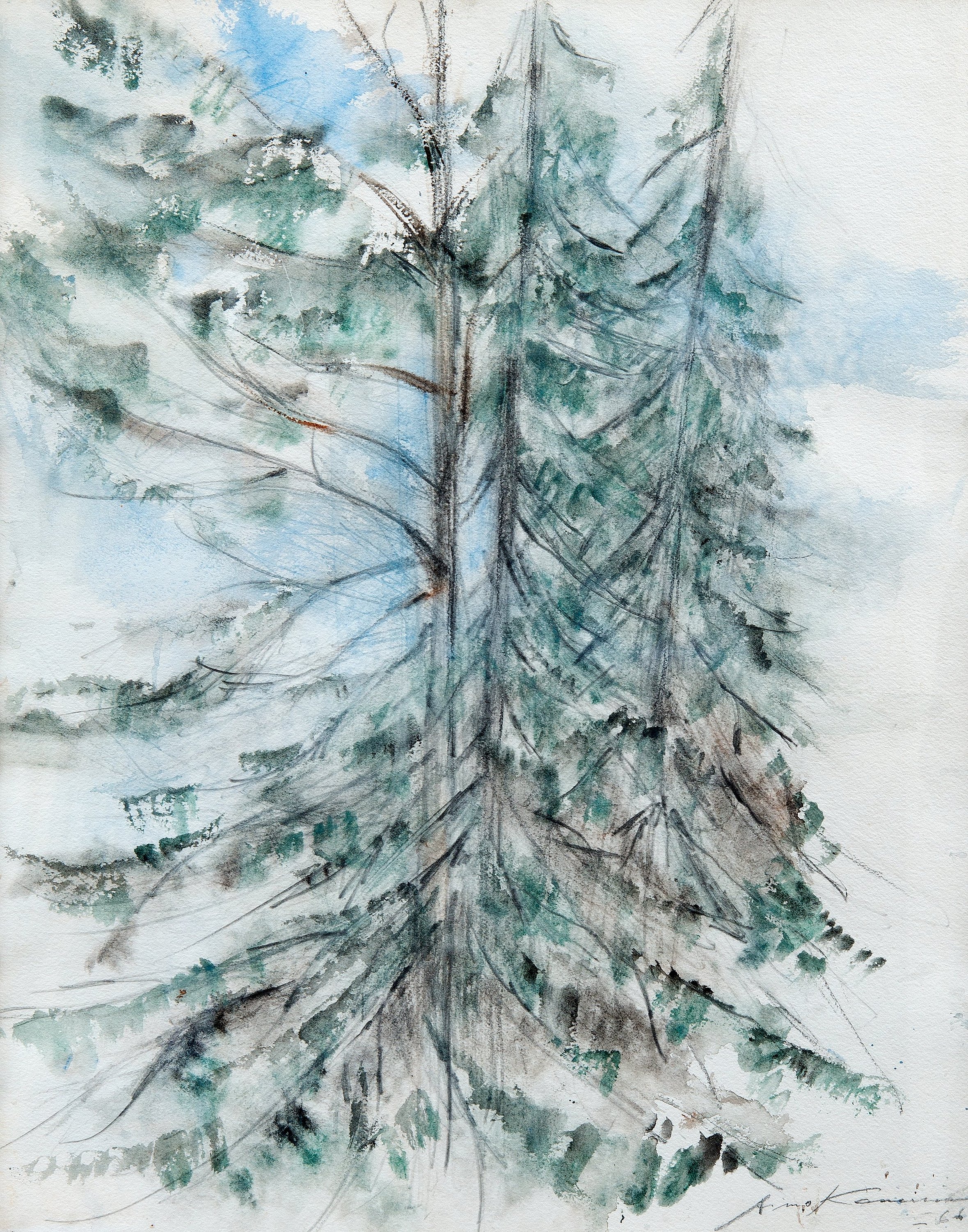 Aimo Kanerva, FIR TREES. - Bukowskis