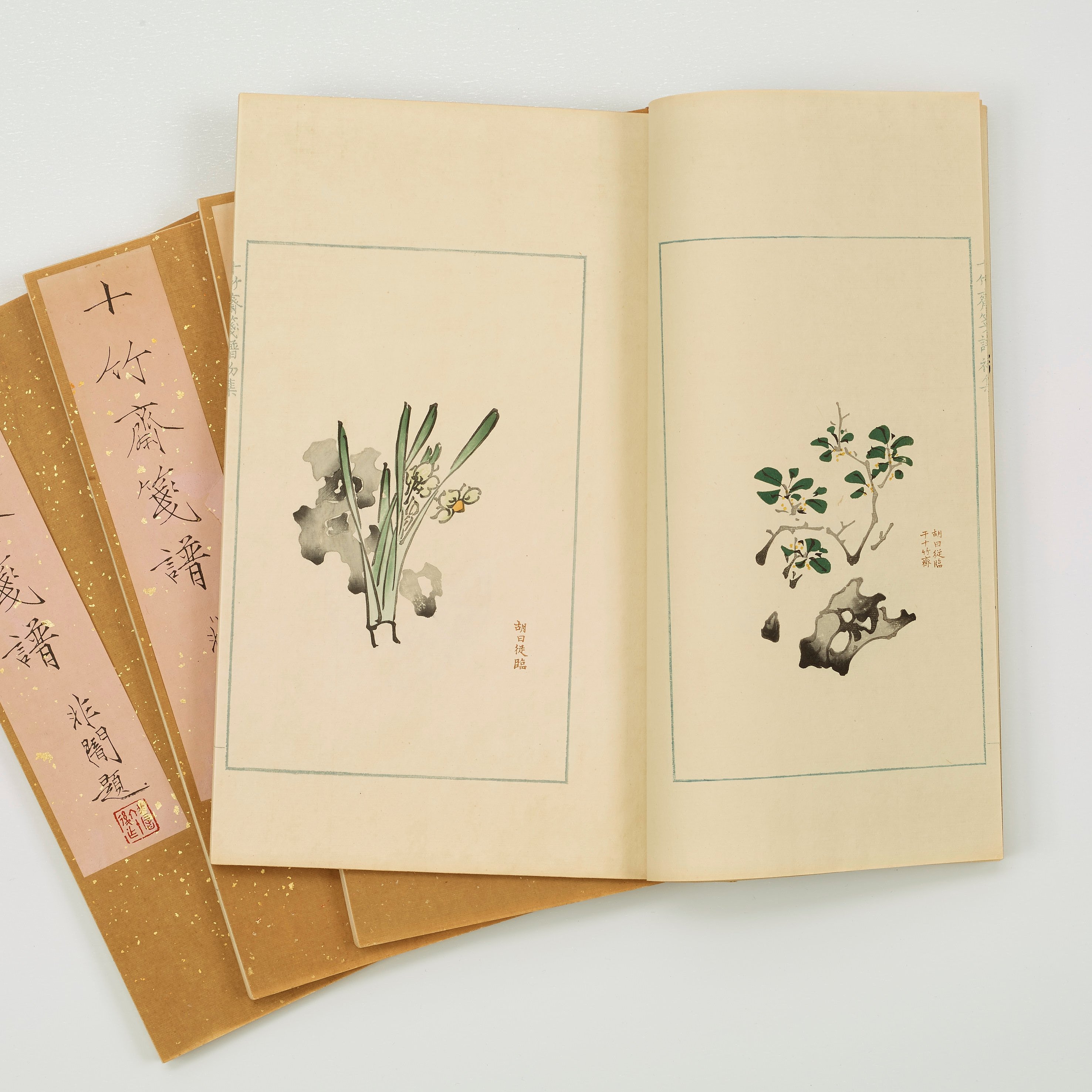 Book, 4 vol, richly illustrated with woodcuts in colours, "Shi zhu zhai ...