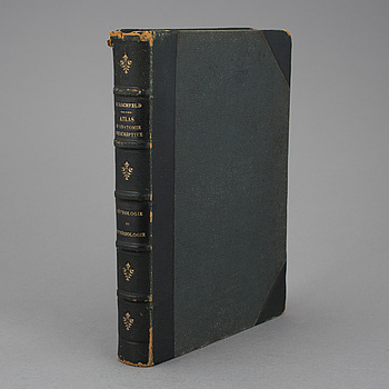 ATLAS, "Systeme Nerveux", Ludovic Hirschfeld, Victor Masson et Fils ...